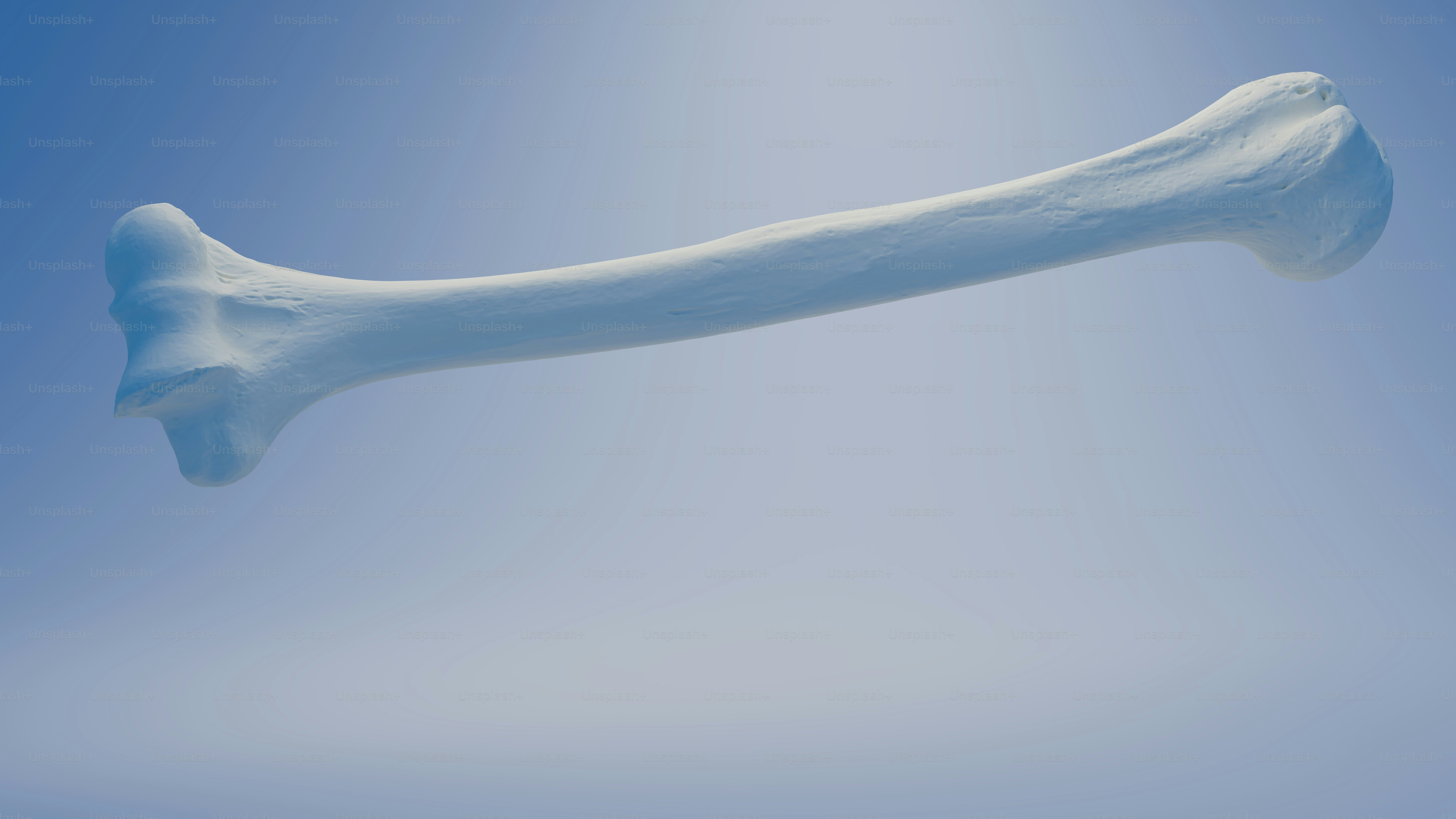 A white bone floating in the air against a blue sky photo – 3d render ...