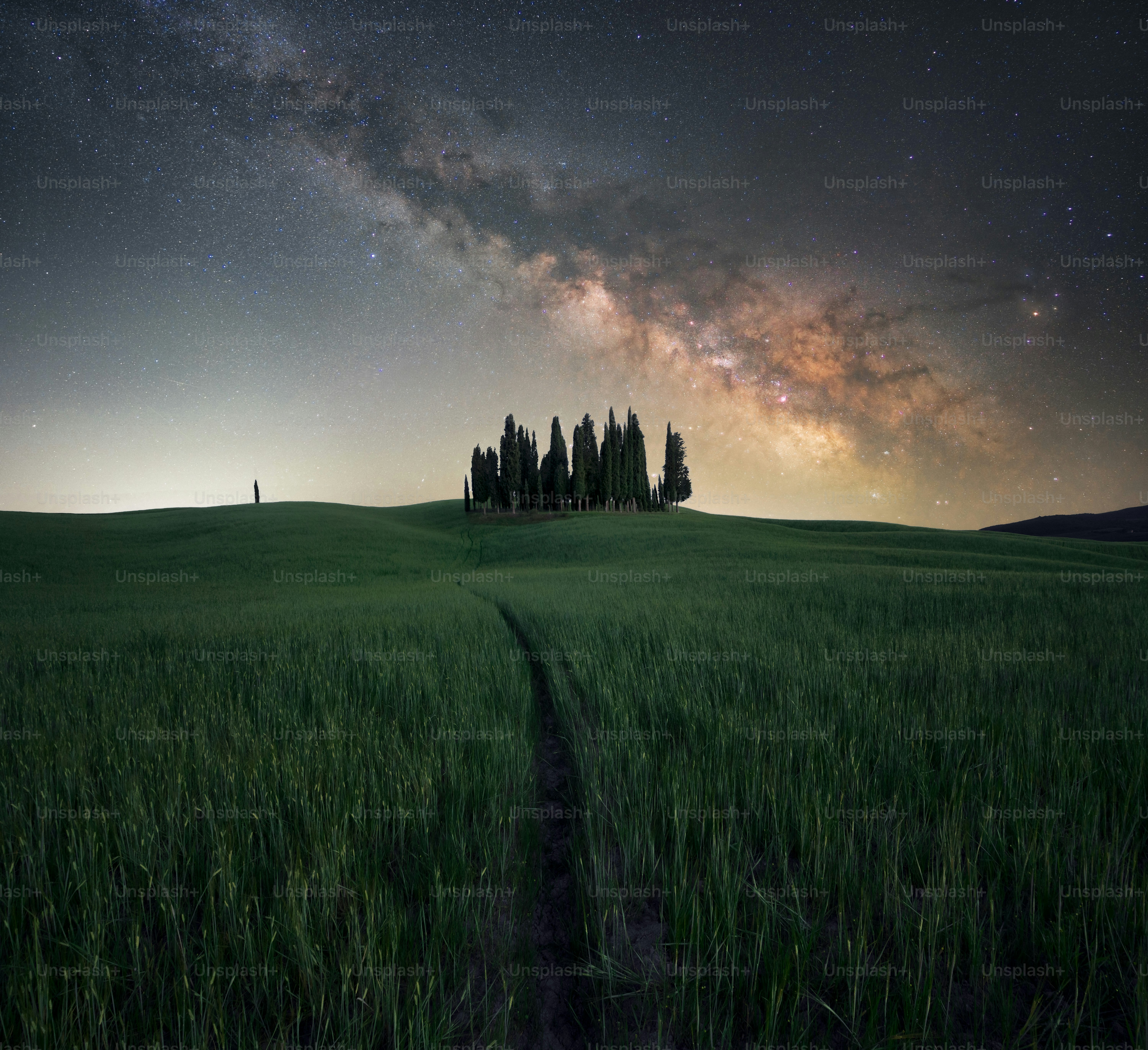 A field with trees and a star filled sky photo – Night sky Image on ...