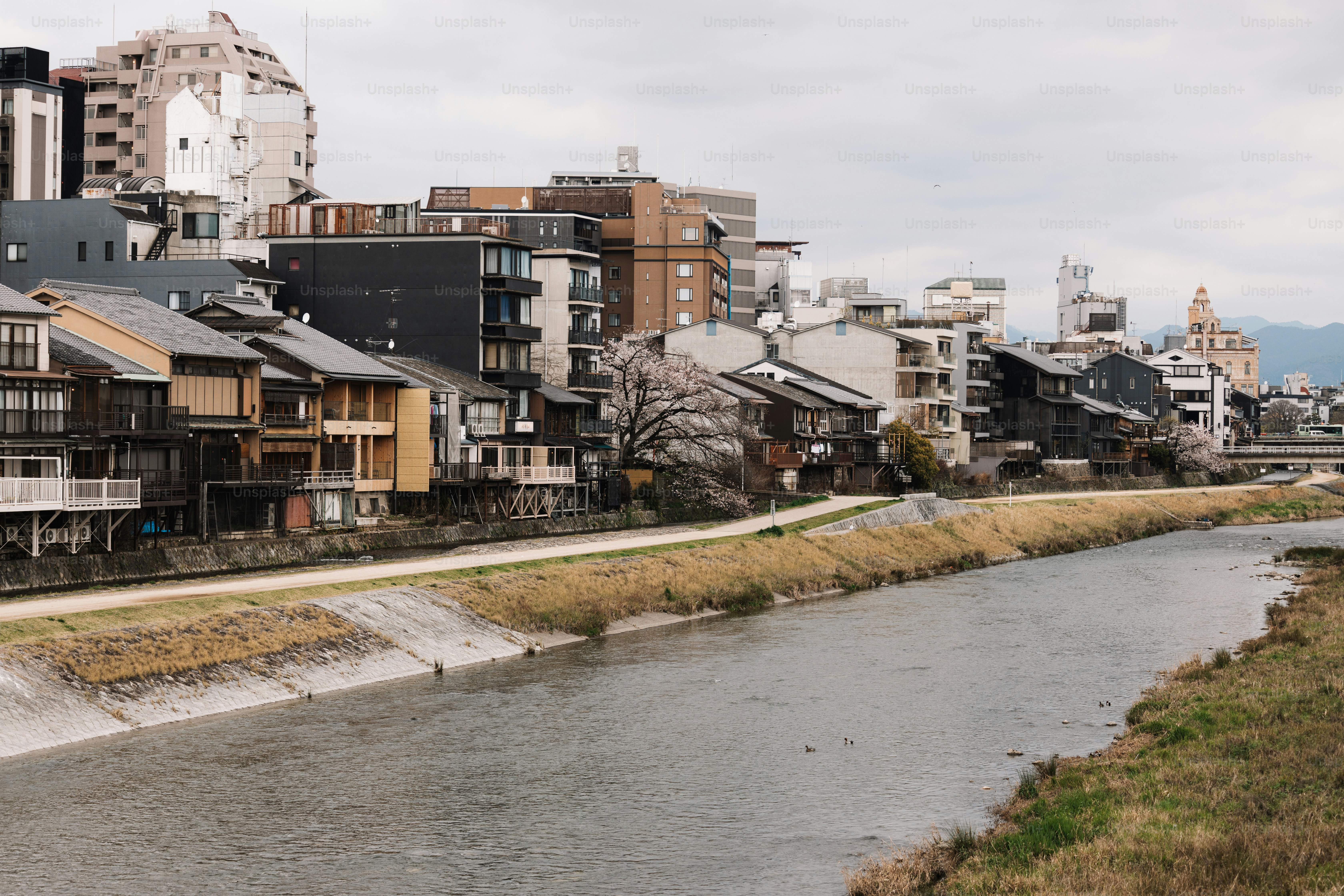 A river running through a city next to tall buildings photo – Japan ...
