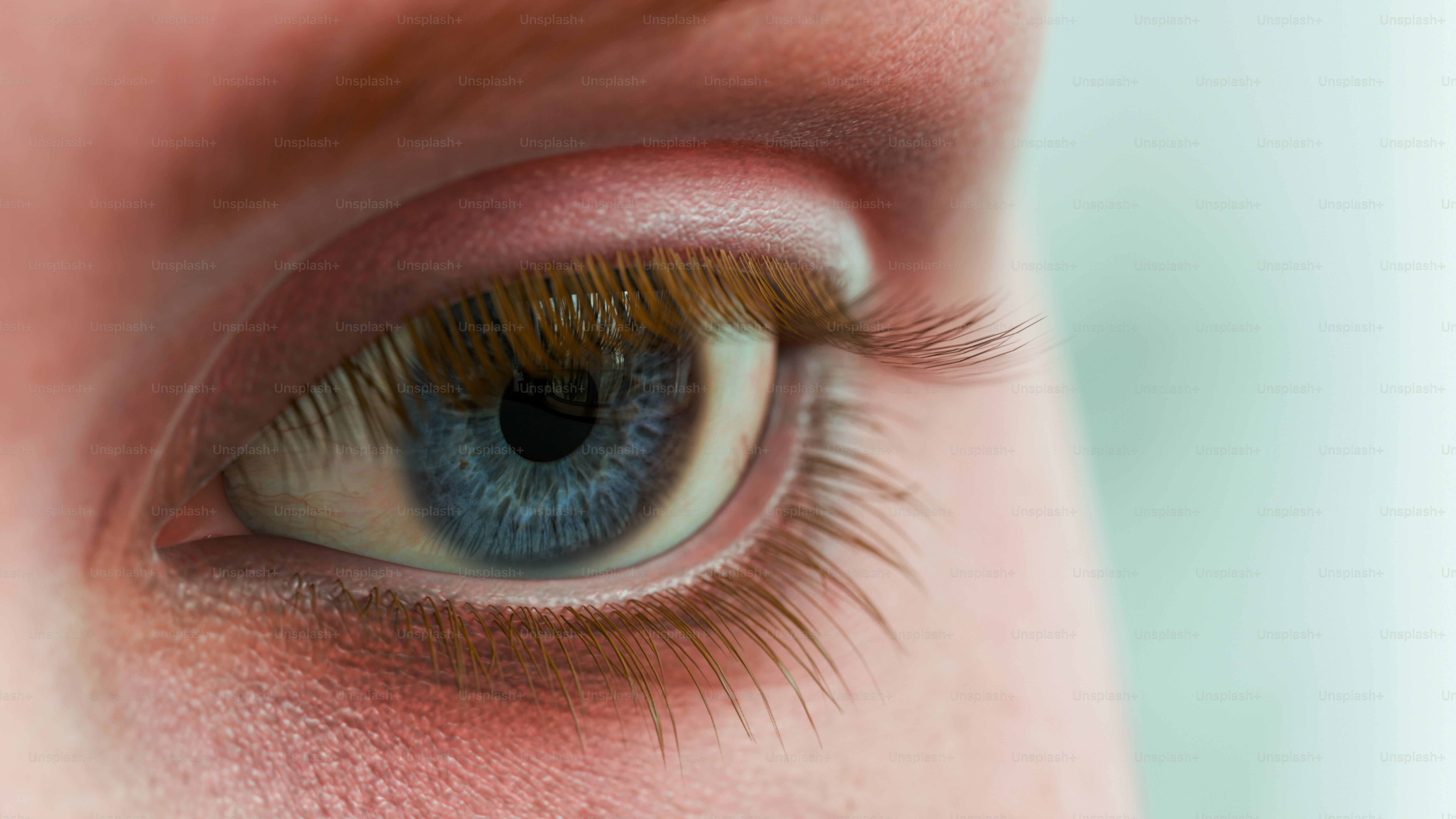 Un primer plano del ojo azul de una persona foto – Imagen de Closeup en ...