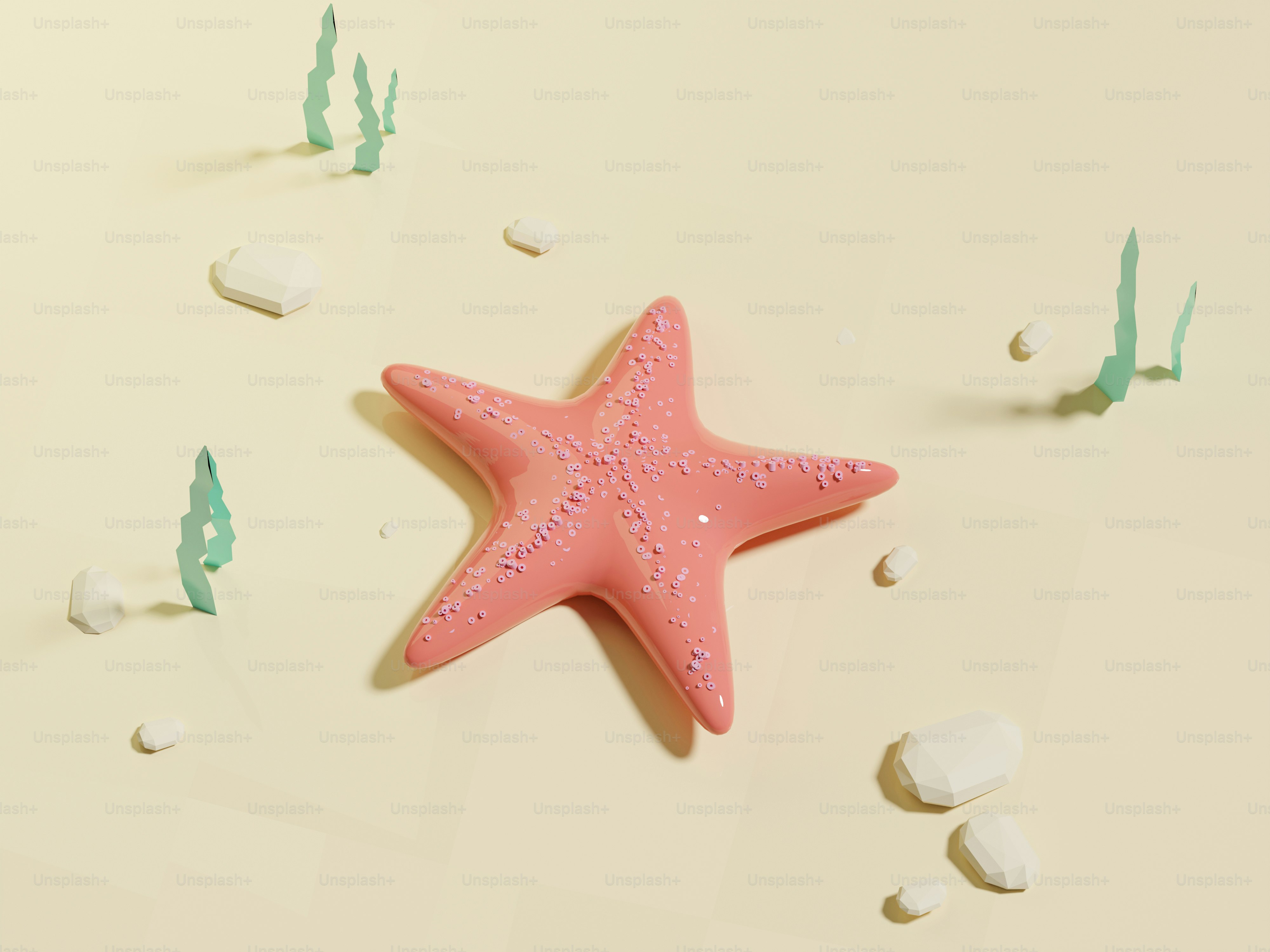 A pink starfish on a white surface photo – Marine life Image on Unsplash