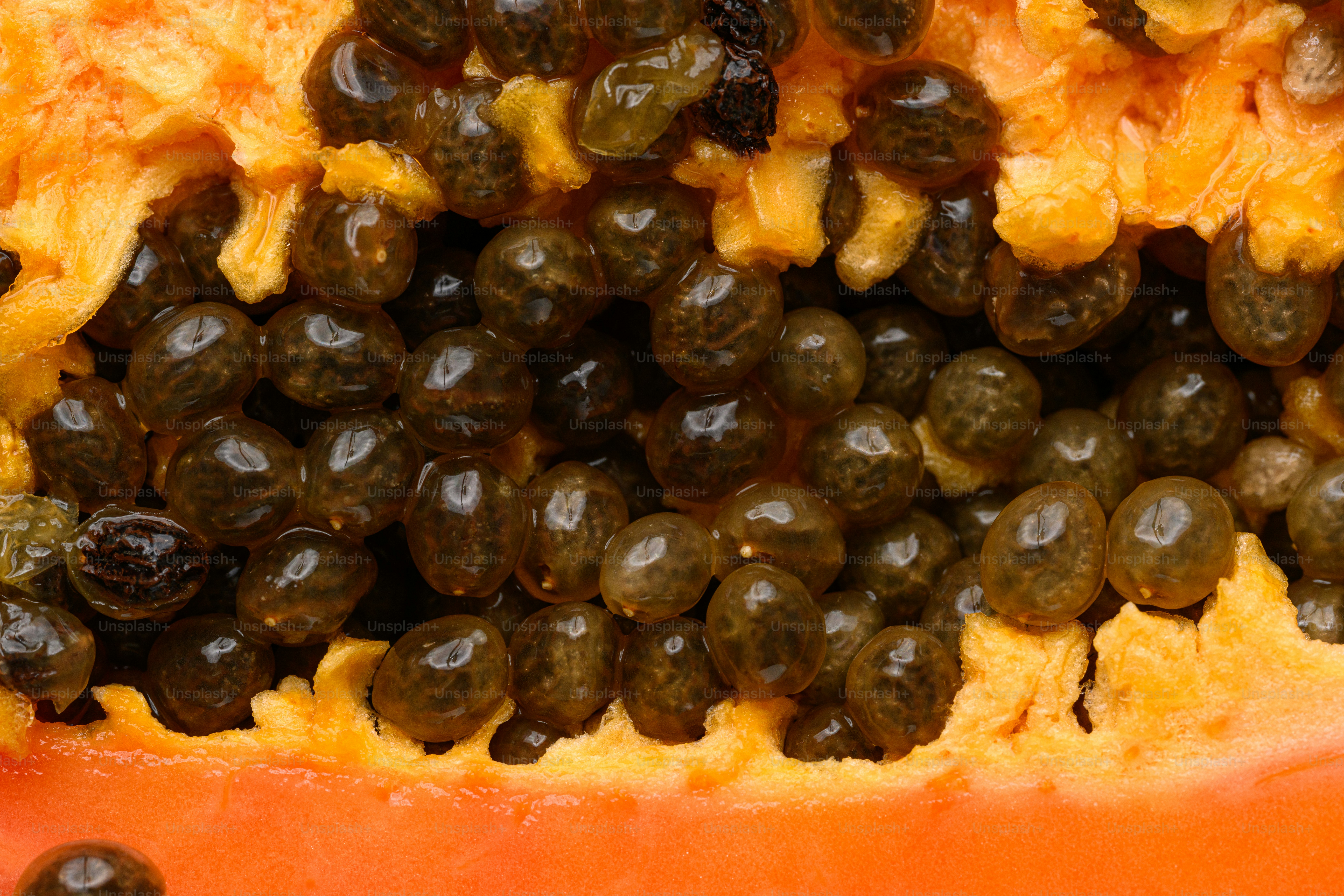 A close up of a watermelon with raisins on it photo – Fruit Image on ...