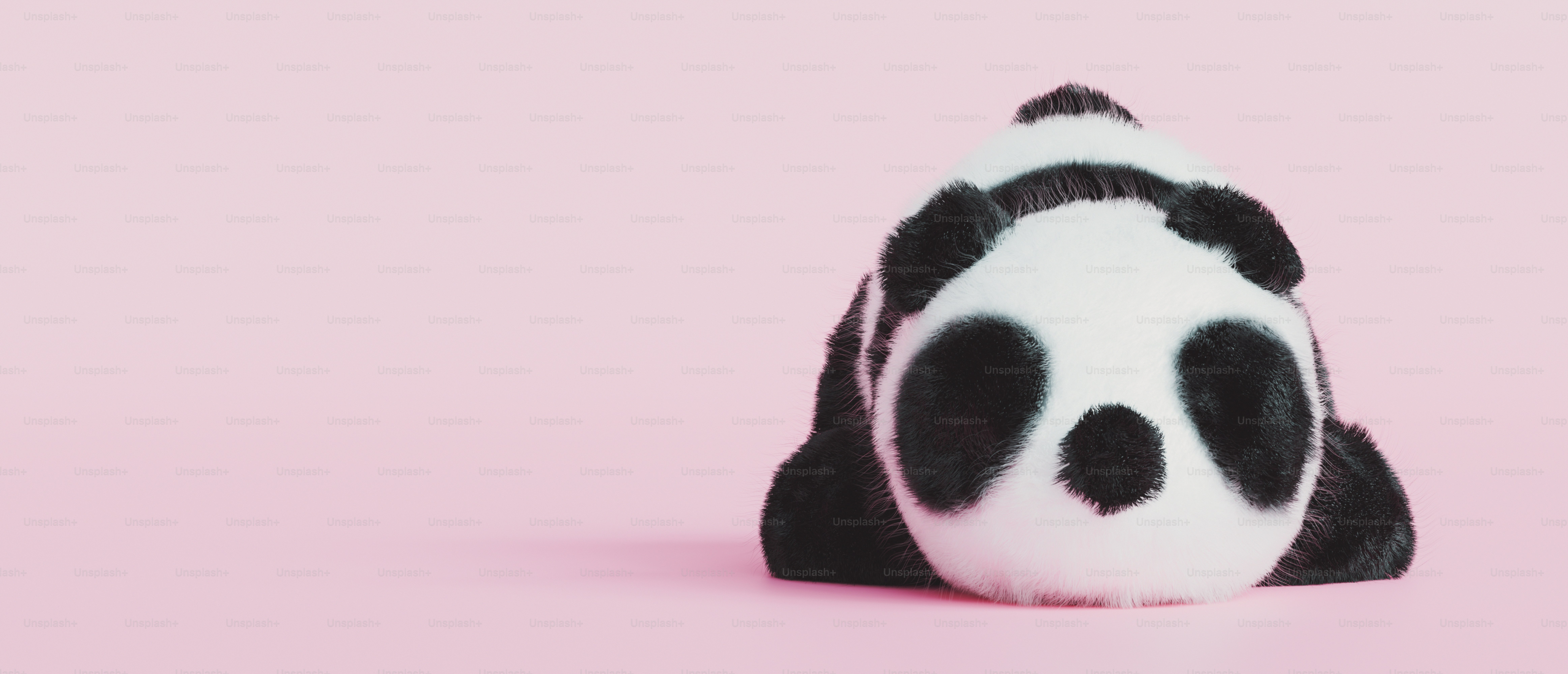 100+ Panda Pictures | Download Free Images on Unsplash