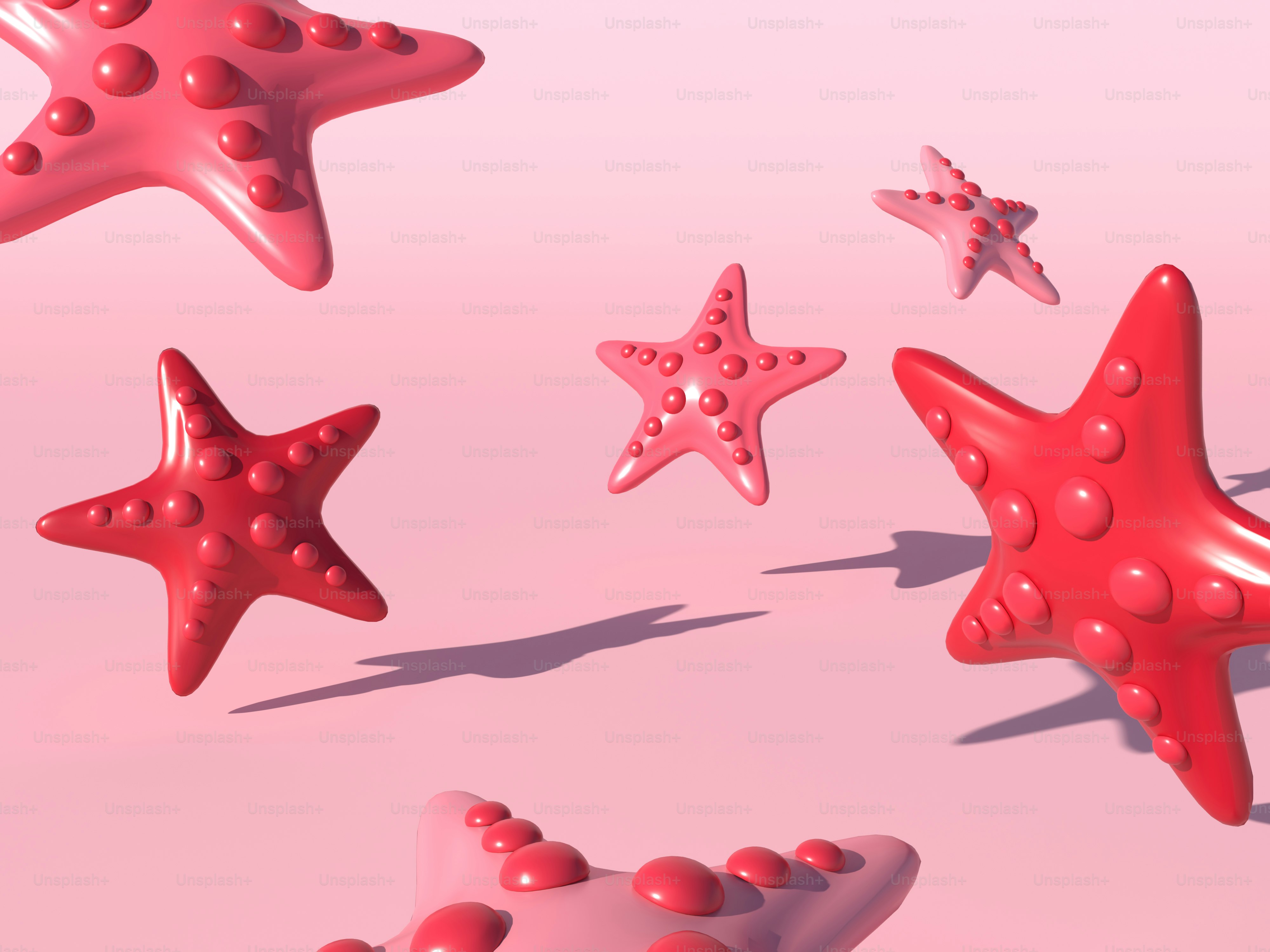 Rare Star Sessions Models After Star Sessions Pictures | Download Free ...