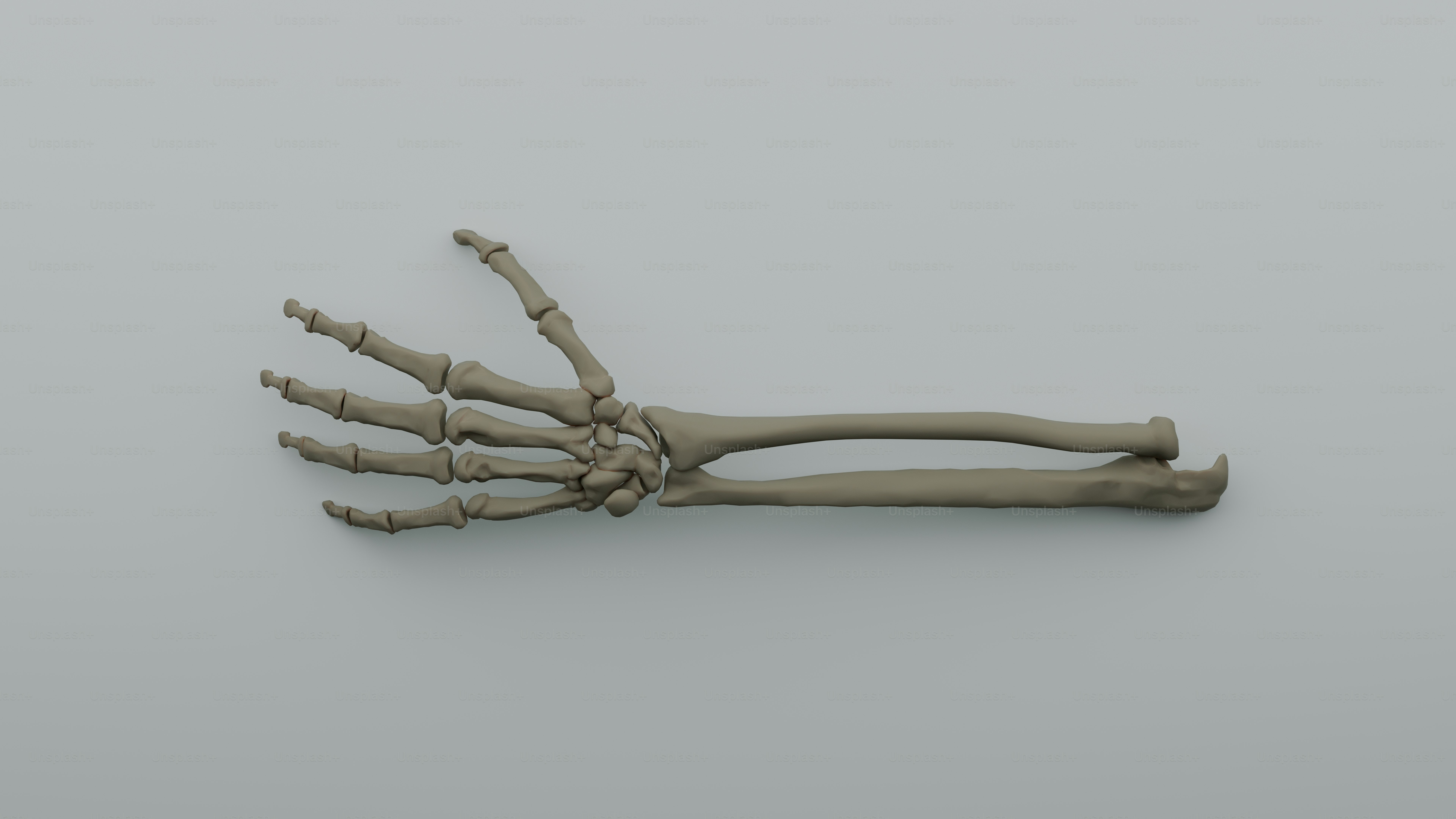 Skeleton Hand Pictures | Download Free Images on Unsplash