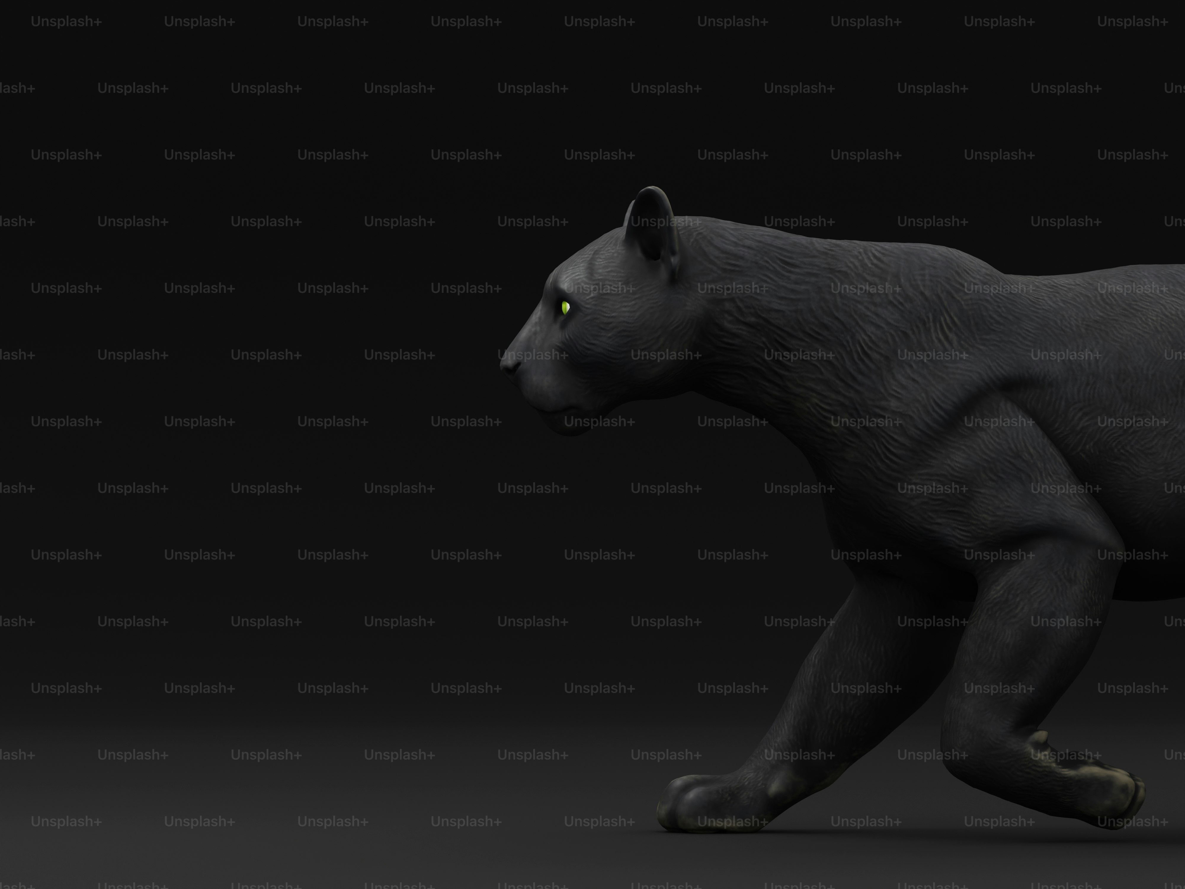 Imágenes de Pantera Negra Animada | Descarga imágenes gratuitas en Unsplash