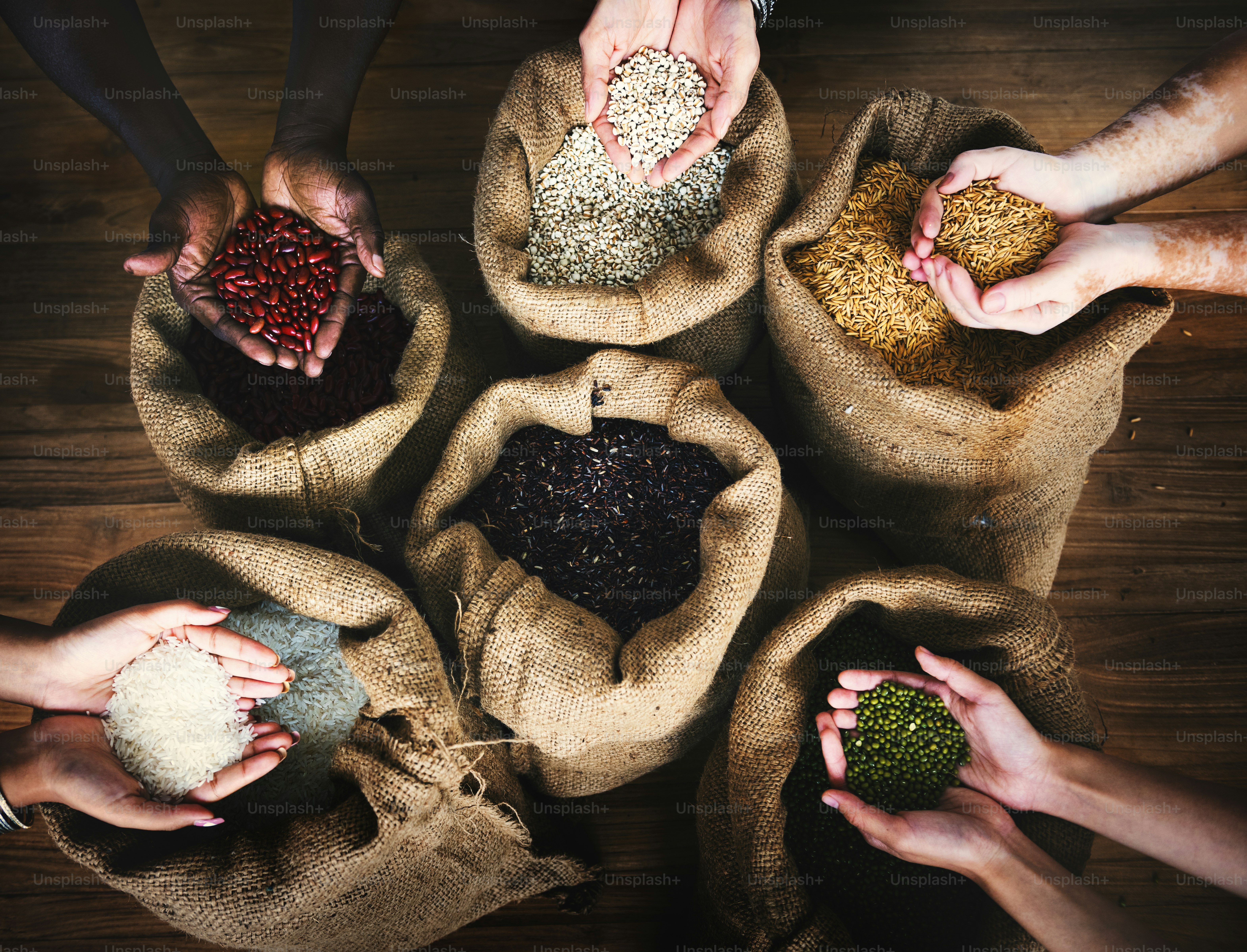 500+ Seeds Pictures | Download Free Images on Unsplash