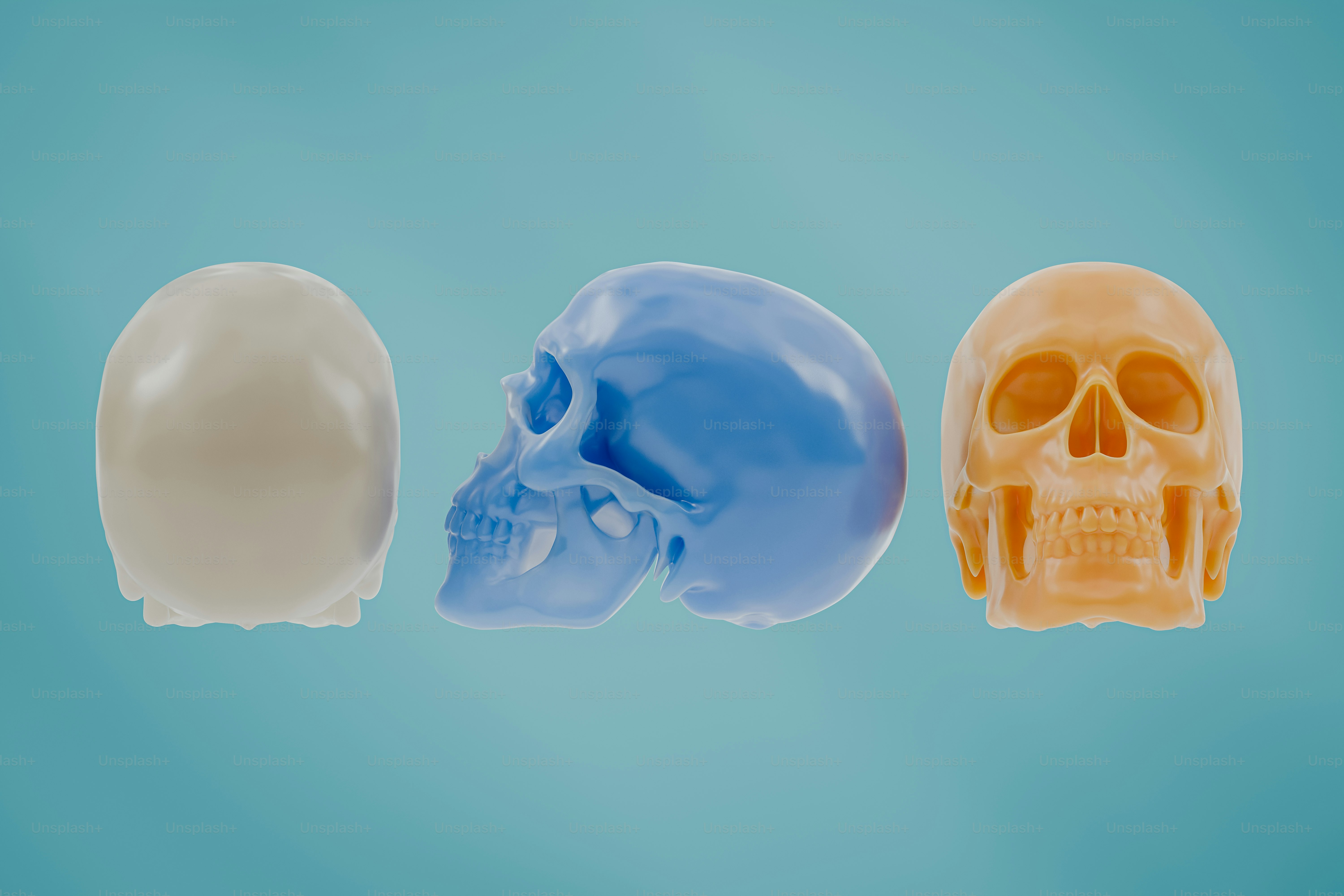 A group of three different colored skulls on a blue background photo ...