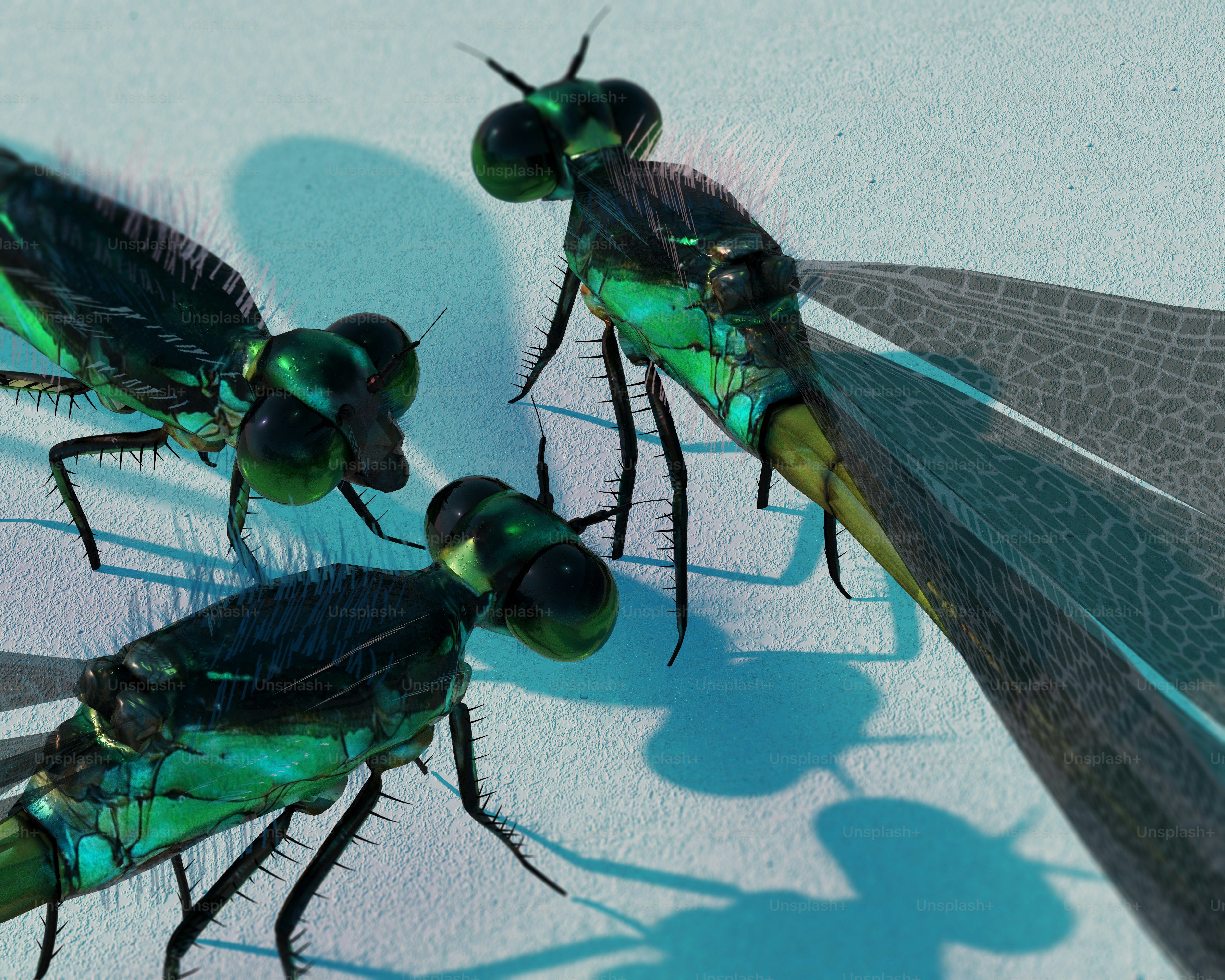 A group of flies sitting on top of a white surface photo – 3d render ...