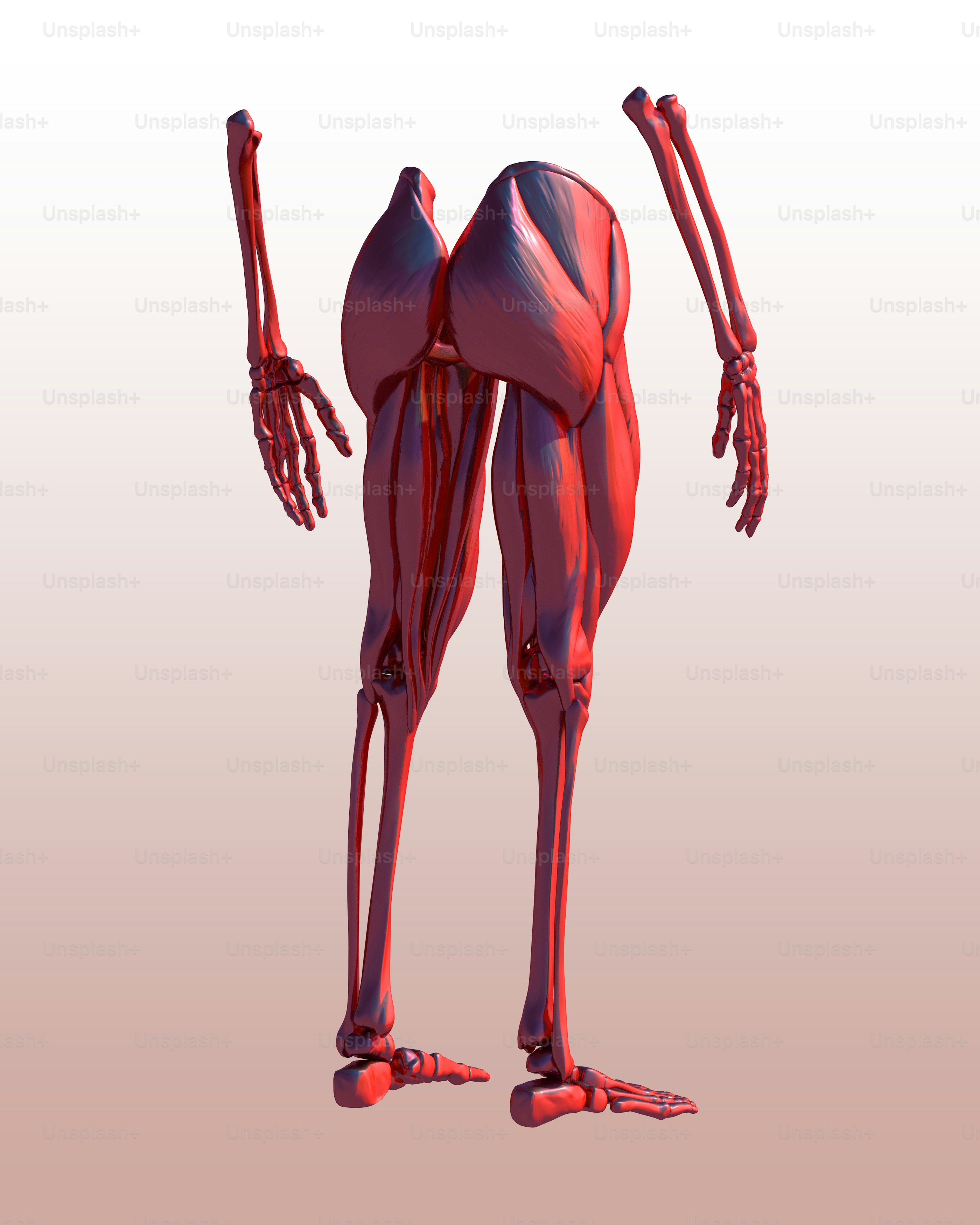 A computer generated image of a human body photo – Digital image Image ...