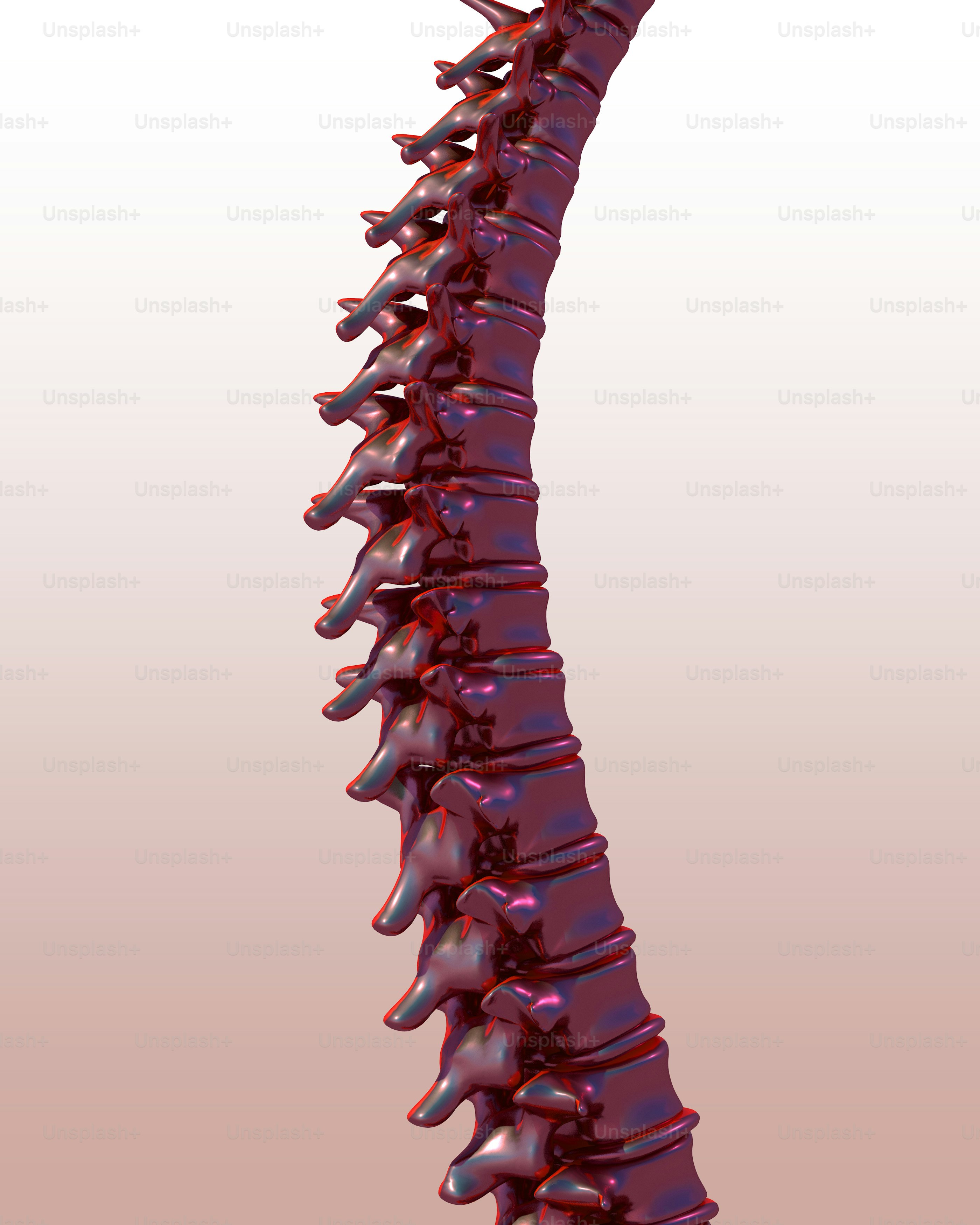 Une photo d’une très longue file de personnes photo – Image de Image ...