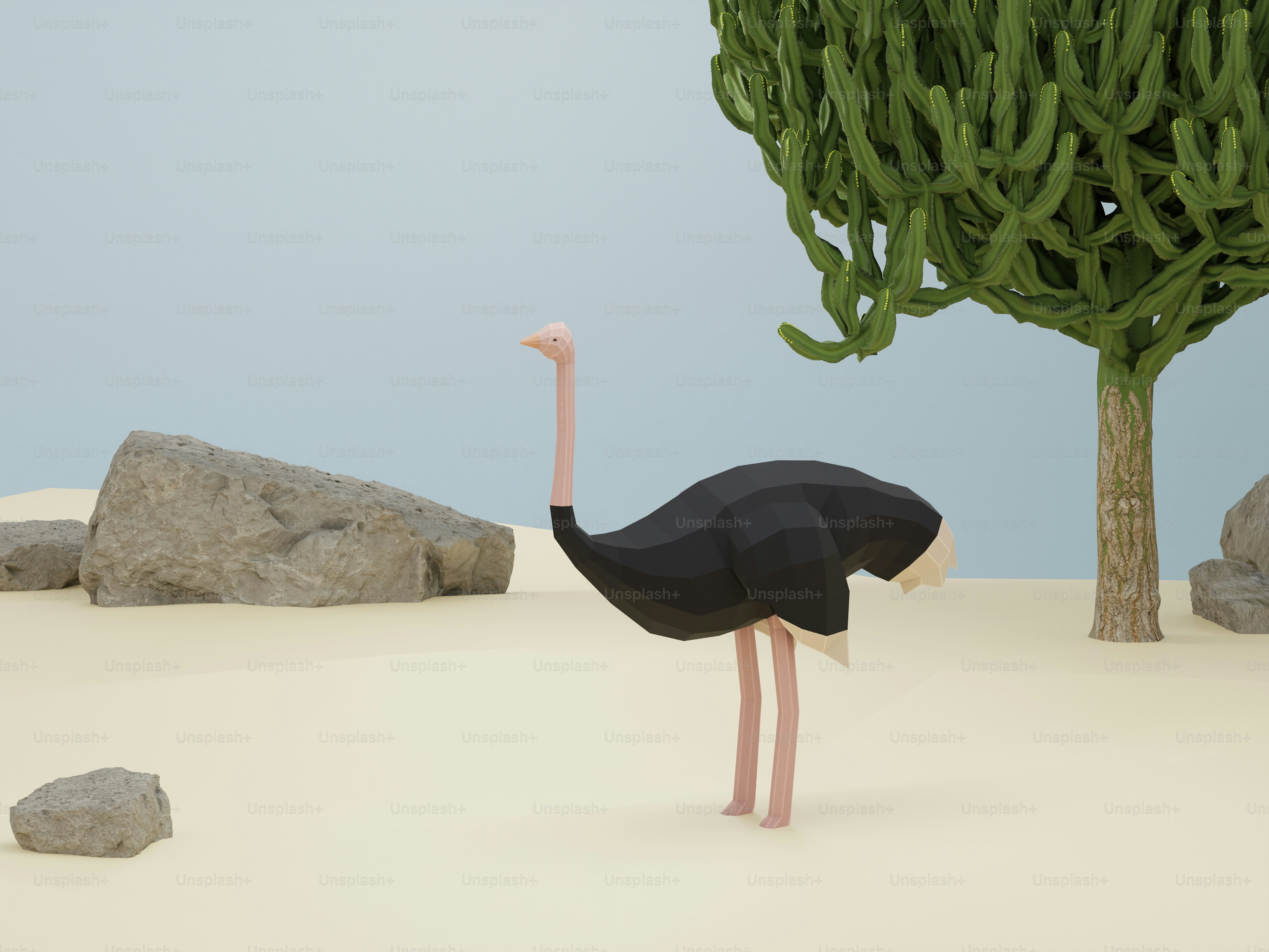 Une autruche debout dans le sable à côté d’un arbre photo – Image de ...