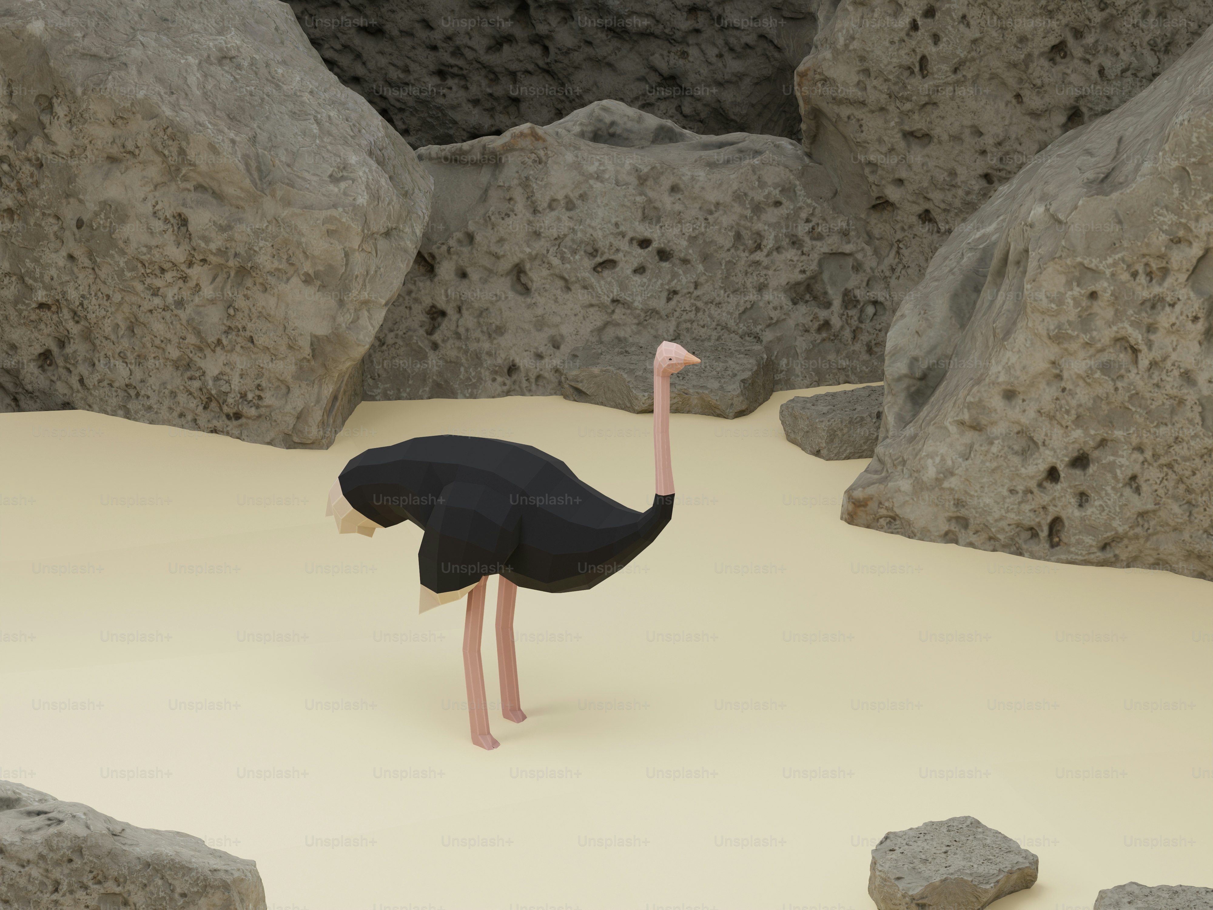An ostrich is standing in the sand by some rocks photo – Animals Image ...