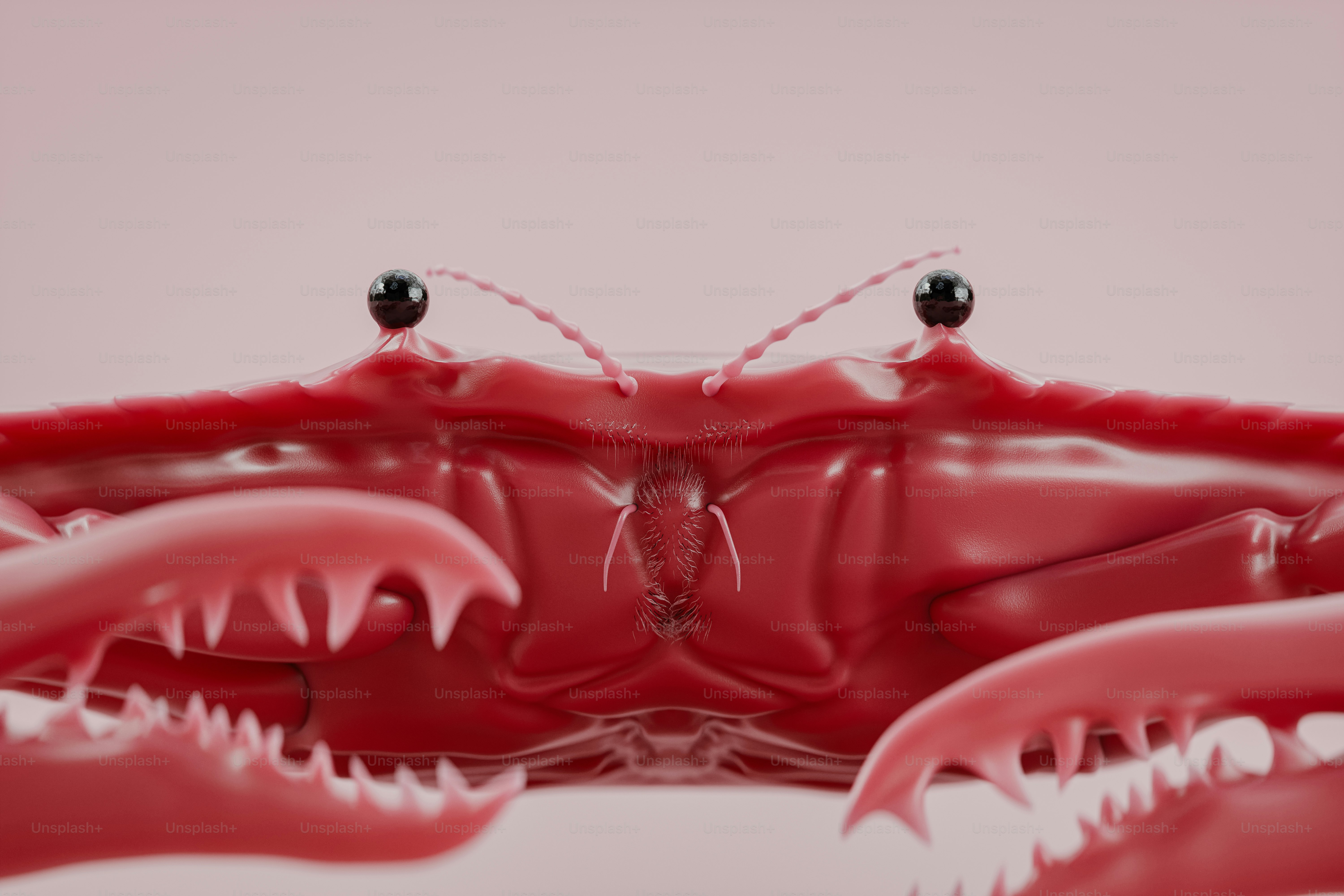 A close up of a red alligator's teeth photo – Render Image on Unsplash