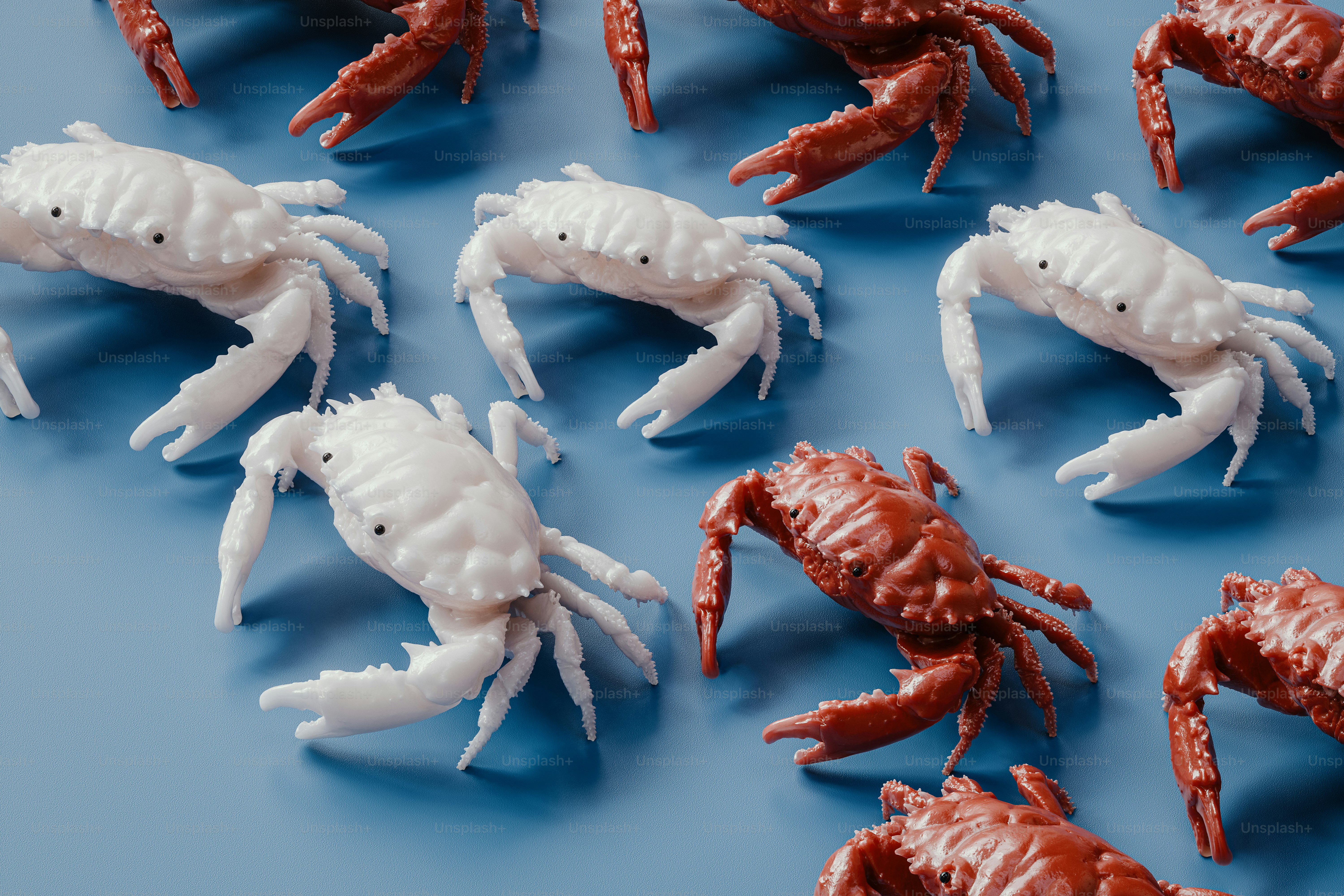 A group of plastic crabs sitting on top of a blue surface photo – 3d ...