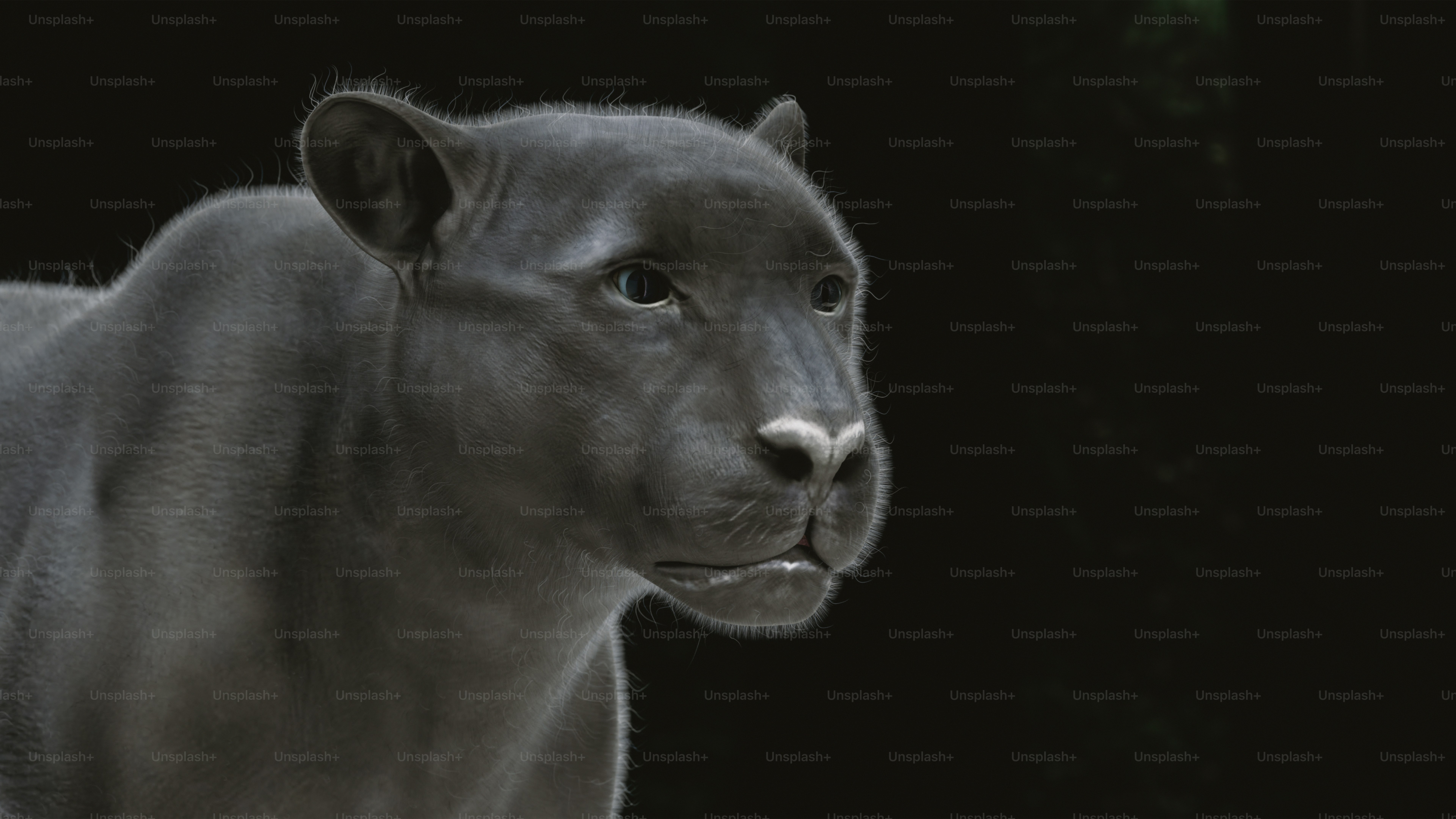 A close up of a monkey with a yellow eye photo – Animal Image on Unsplash