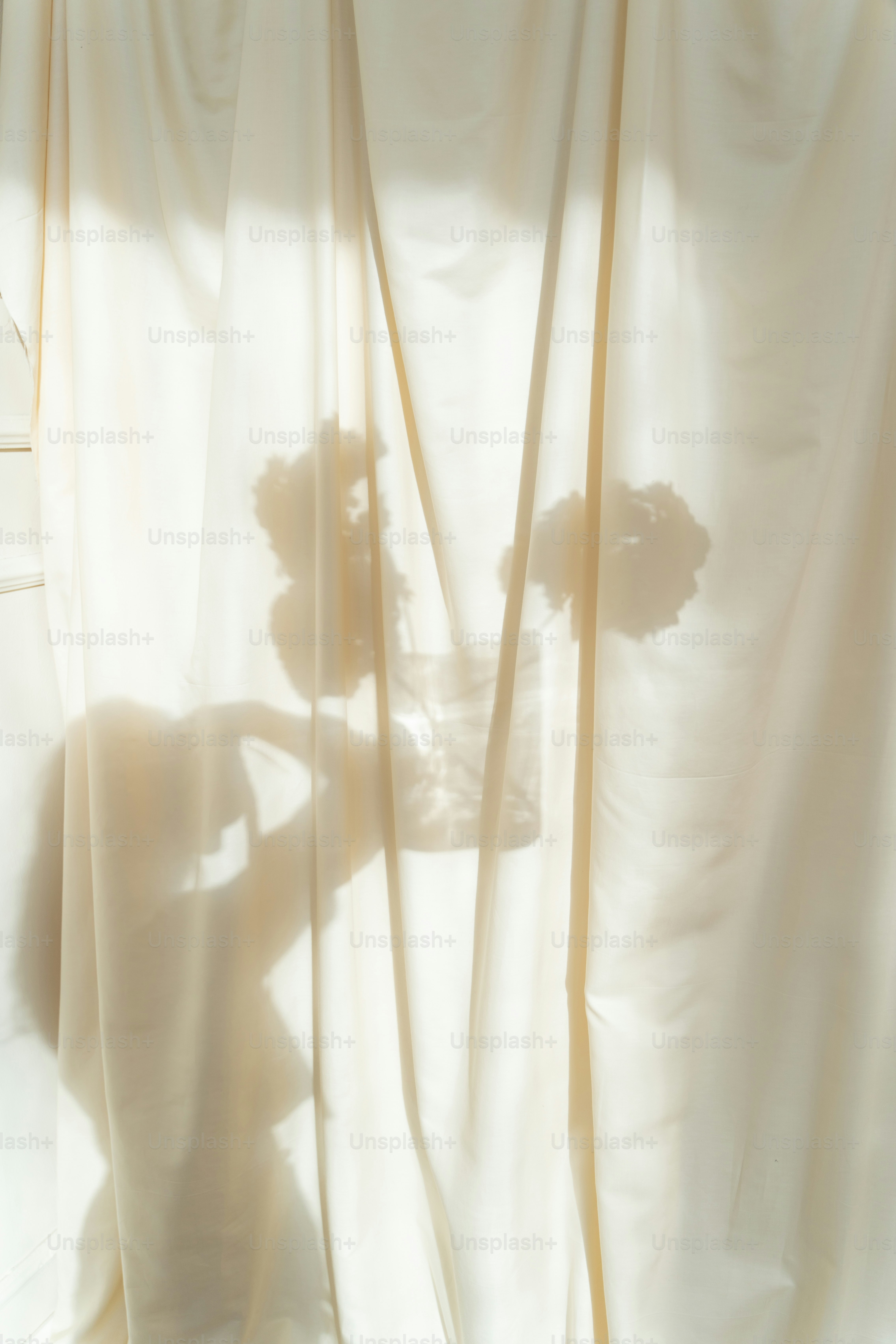 A shadow of a person standing behind a curtain photo – Wellness Image ...