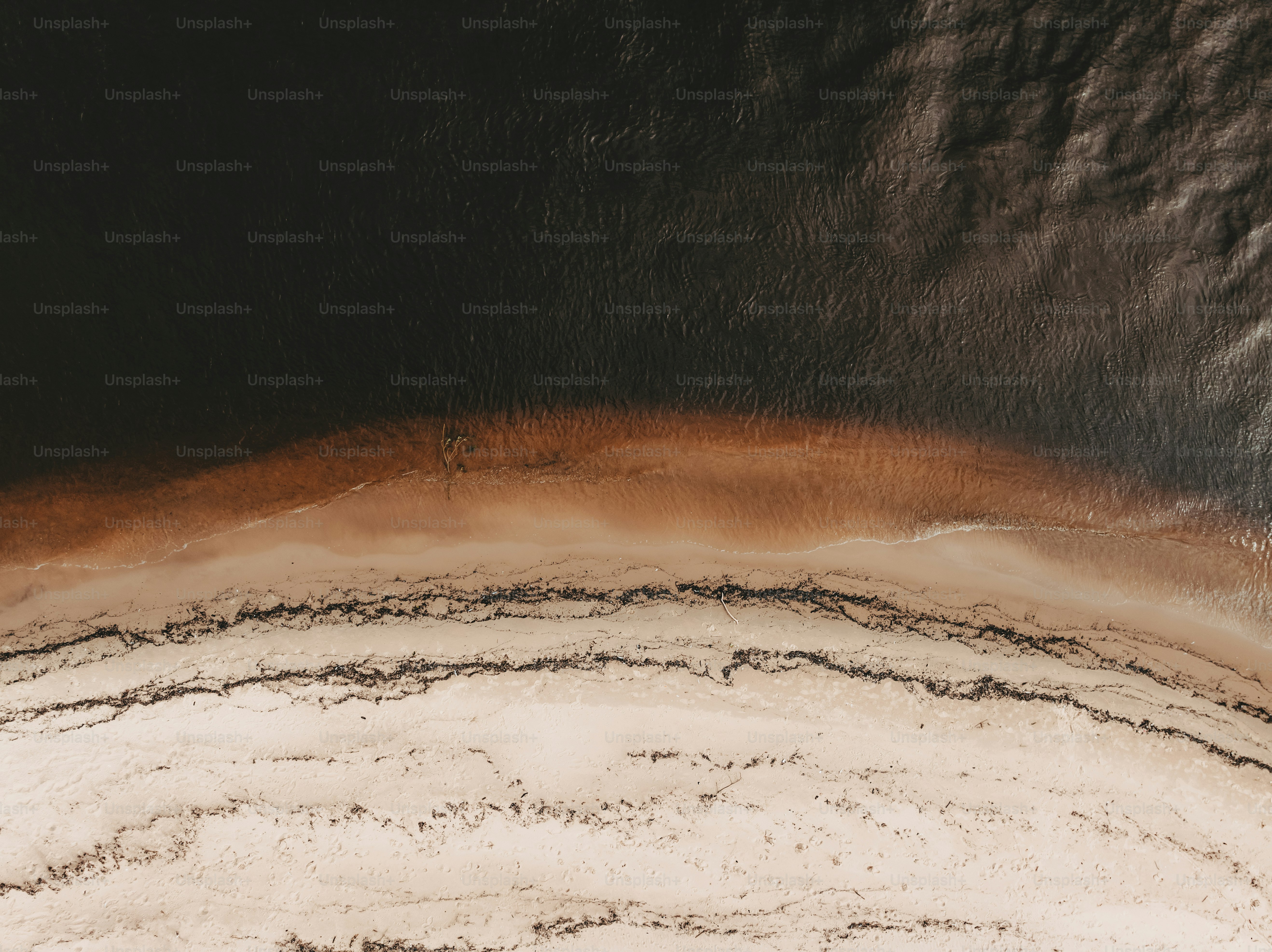 A close up of a tree trunk in the snow photo – Neutral aesthetic Image ...