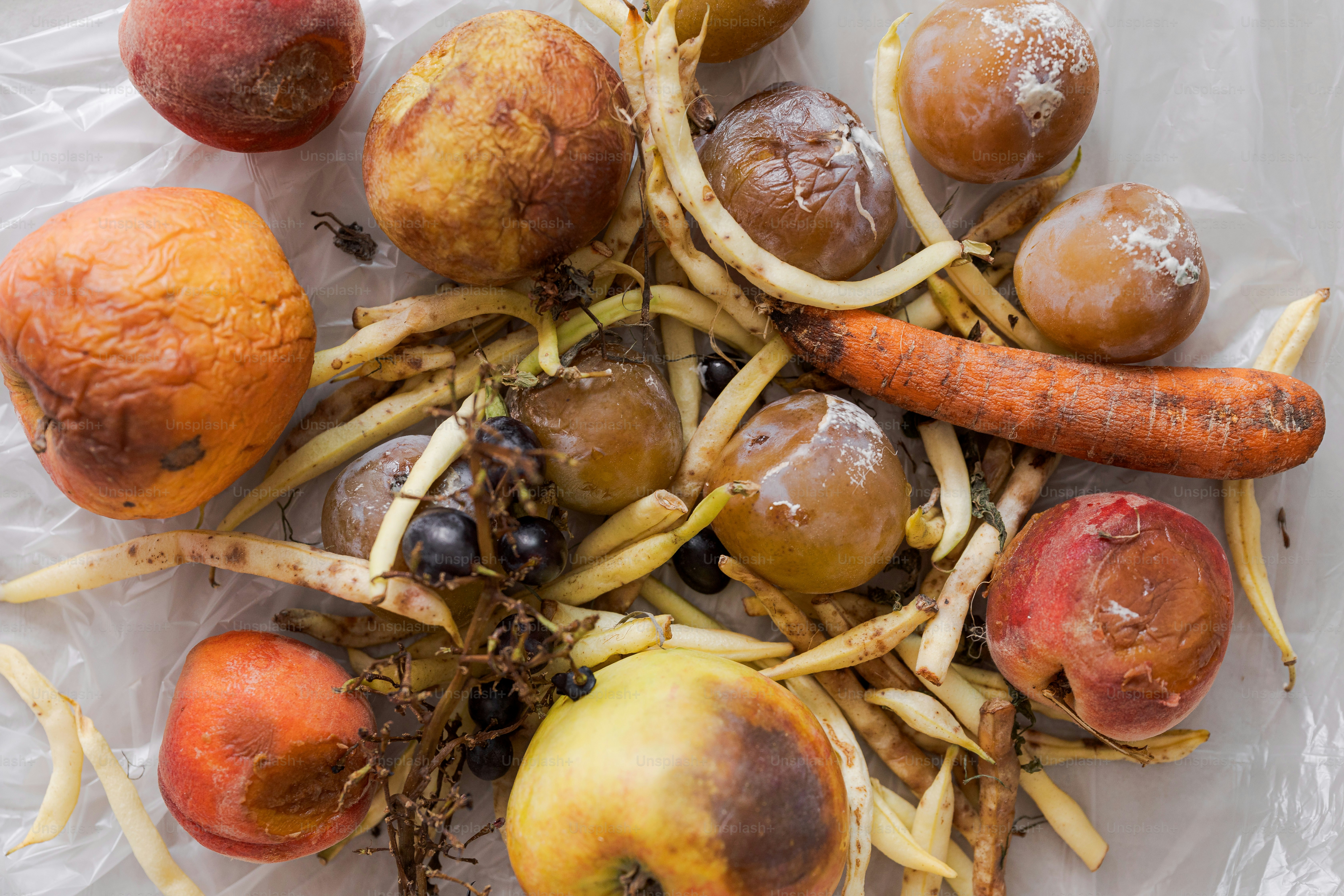 A bunch of rotten fruits and vegetables on a plastic bag photo ...