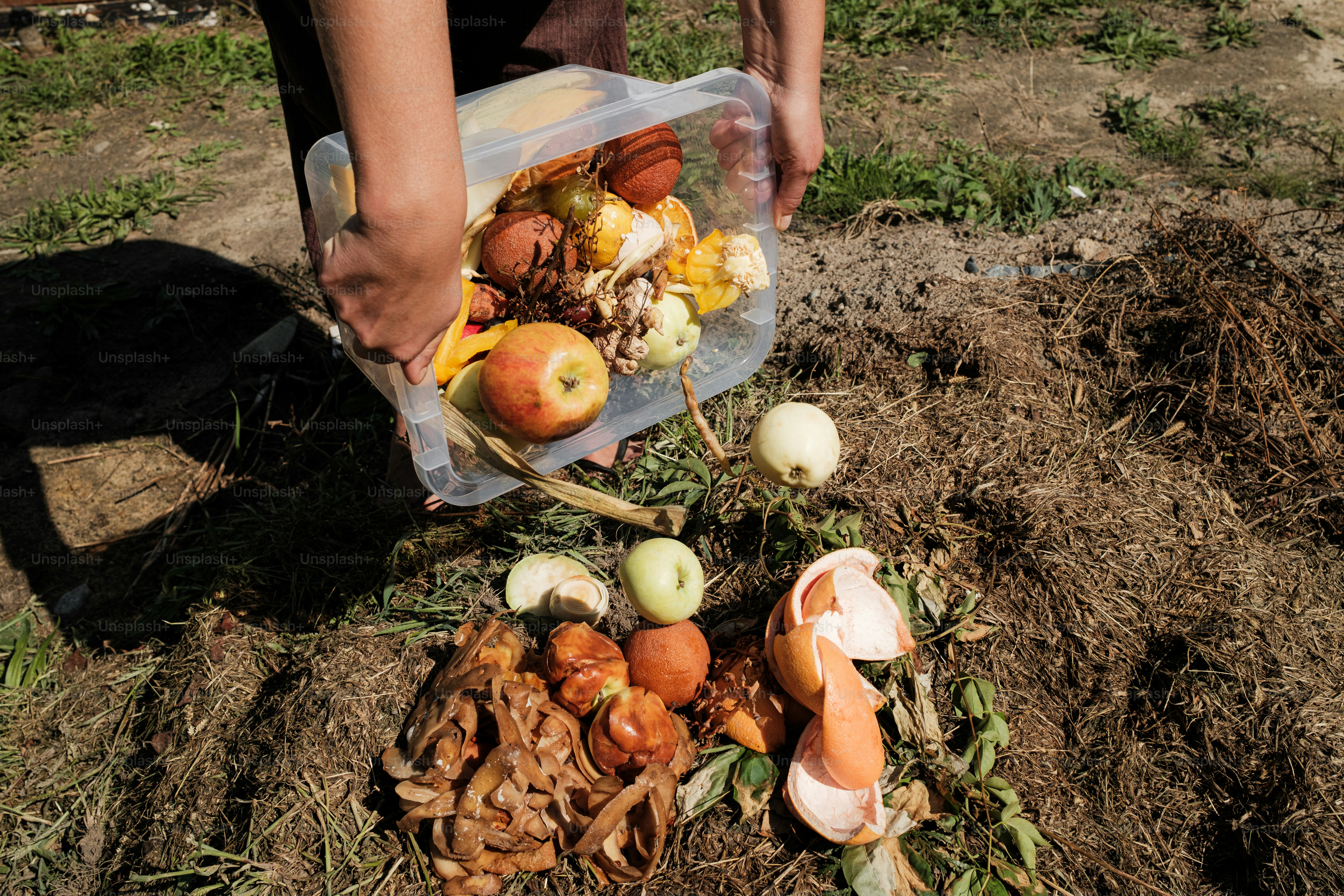 999+ Composting Pictures | Download Free Images on Unsplash