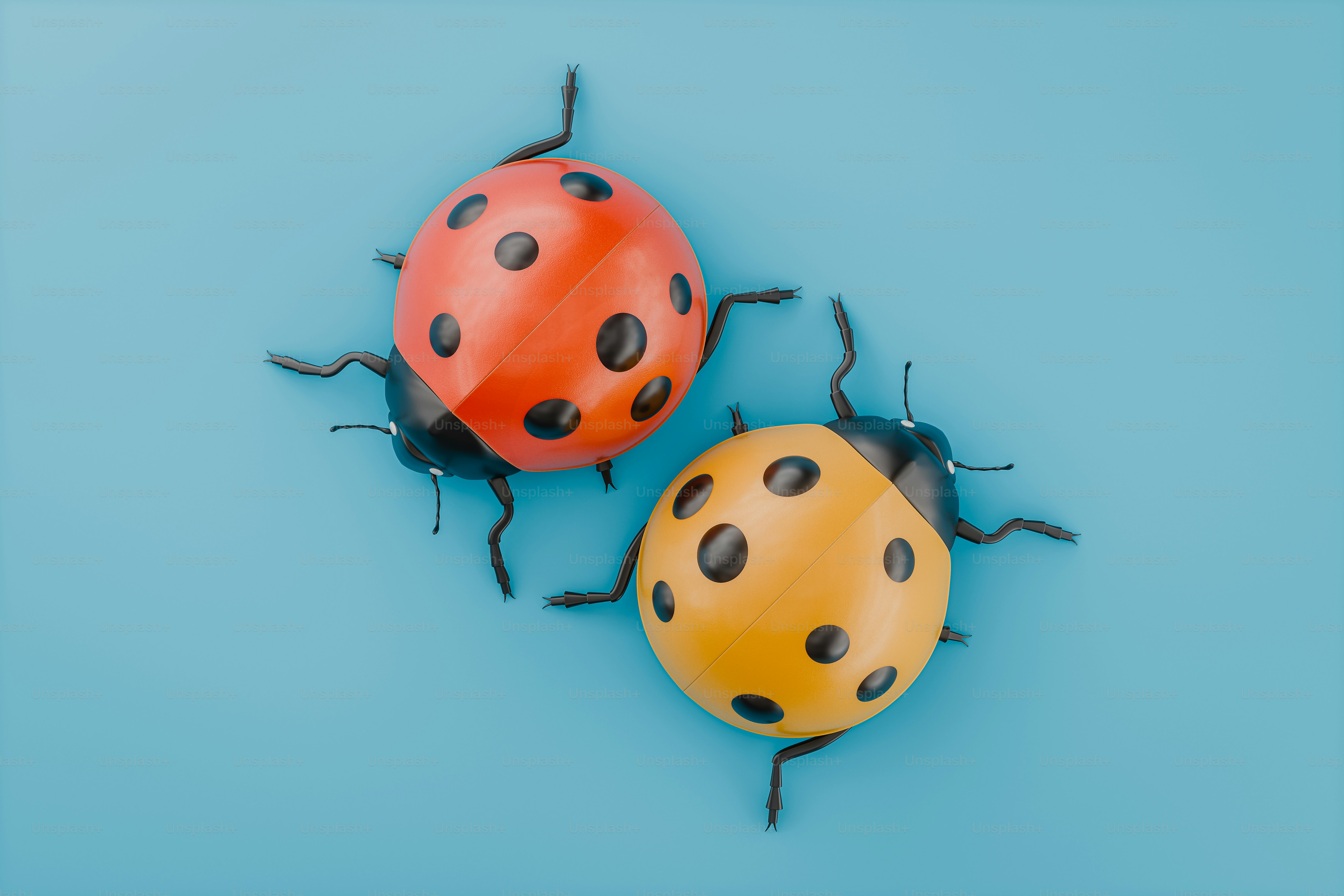 A couple of ladybugs sitting on top of each other photo – Render Image ...