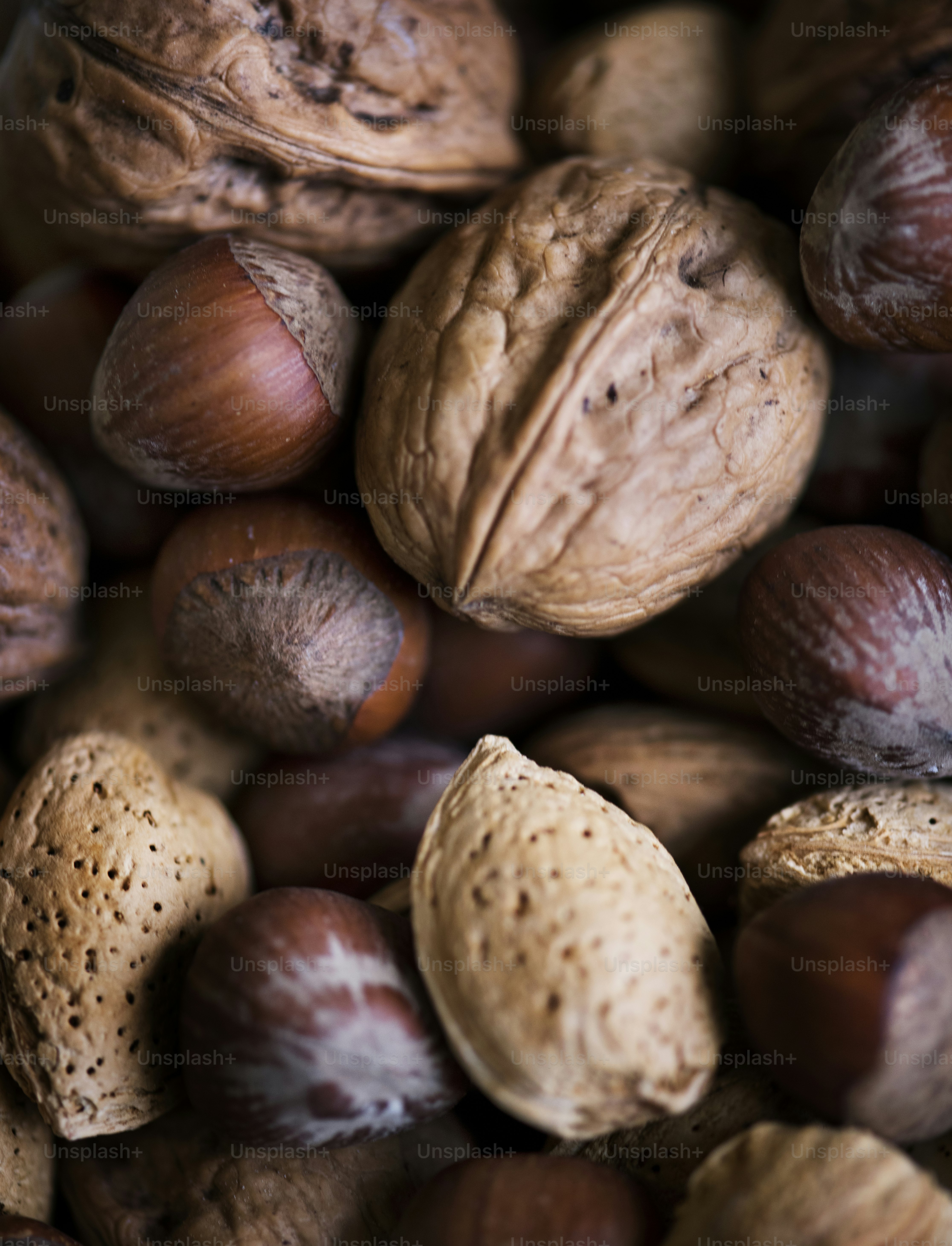 Variety of dried nuts food photography photo – Food Image on Unsplash