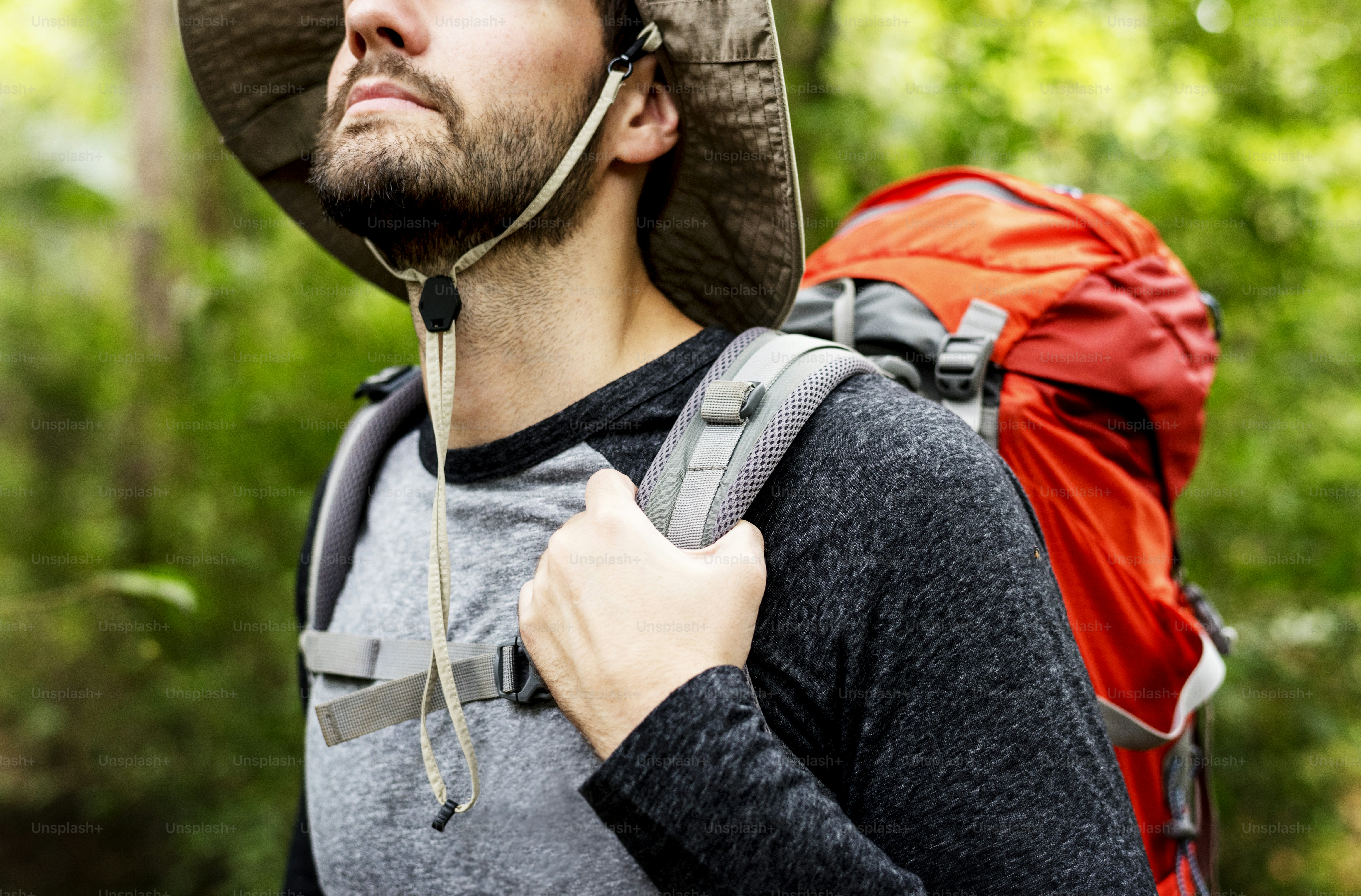 Trekking alone in a forest photo – Outdoors Image on Unsplash