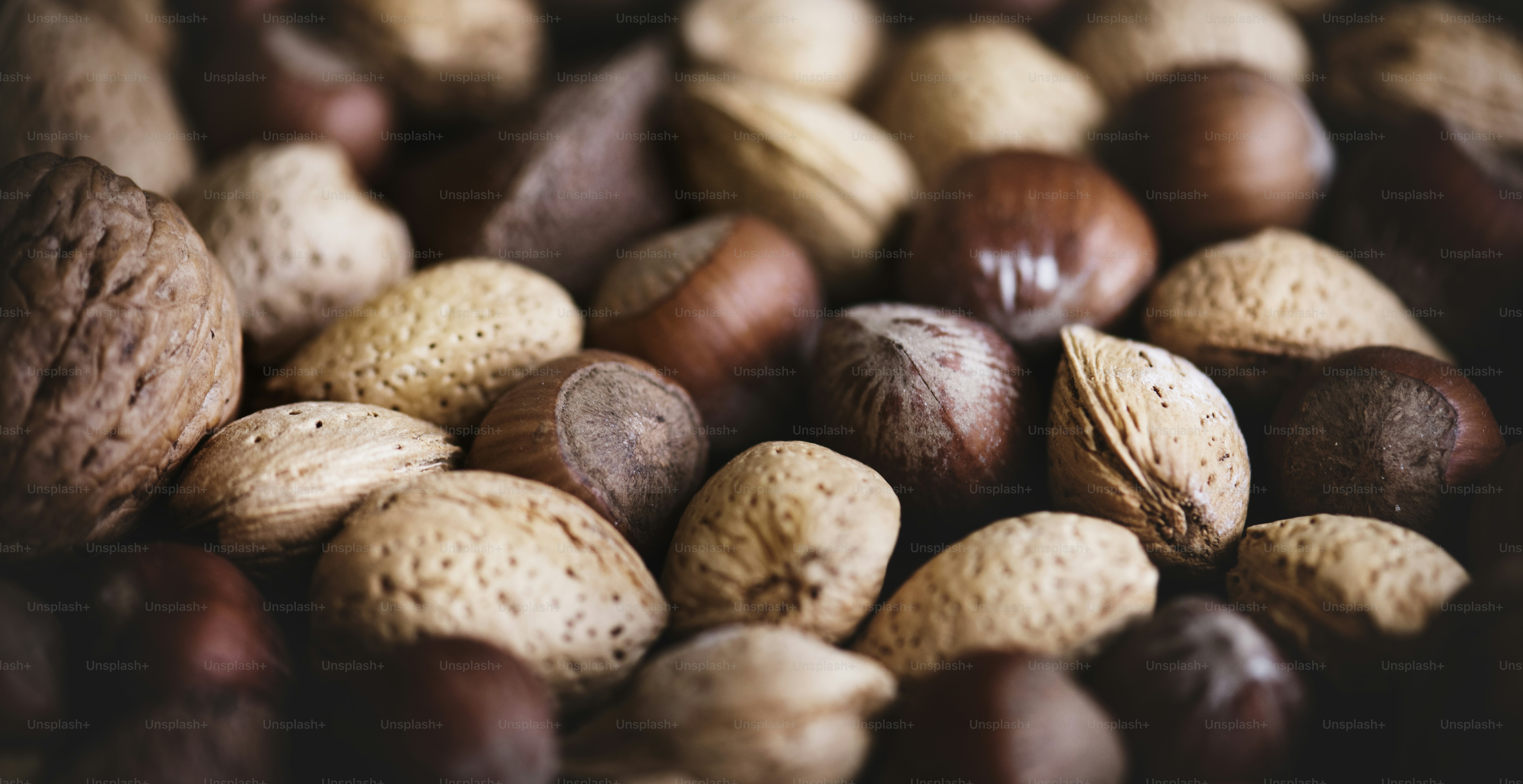 Variety of dried nuts food photography photo – Nutshell Image on Unsplash