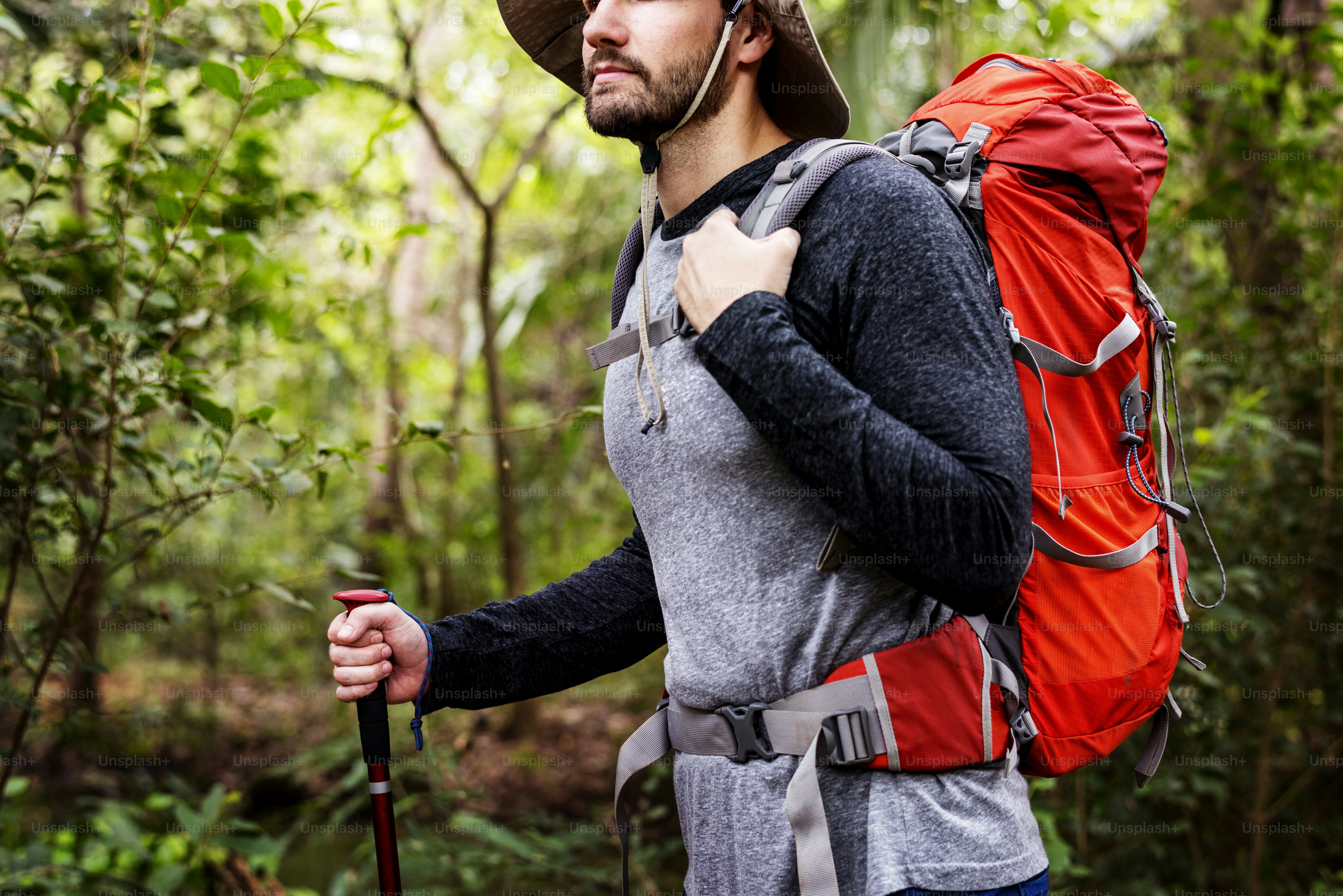 Trekking in a forest photo – Rainforest Image on Unsplash