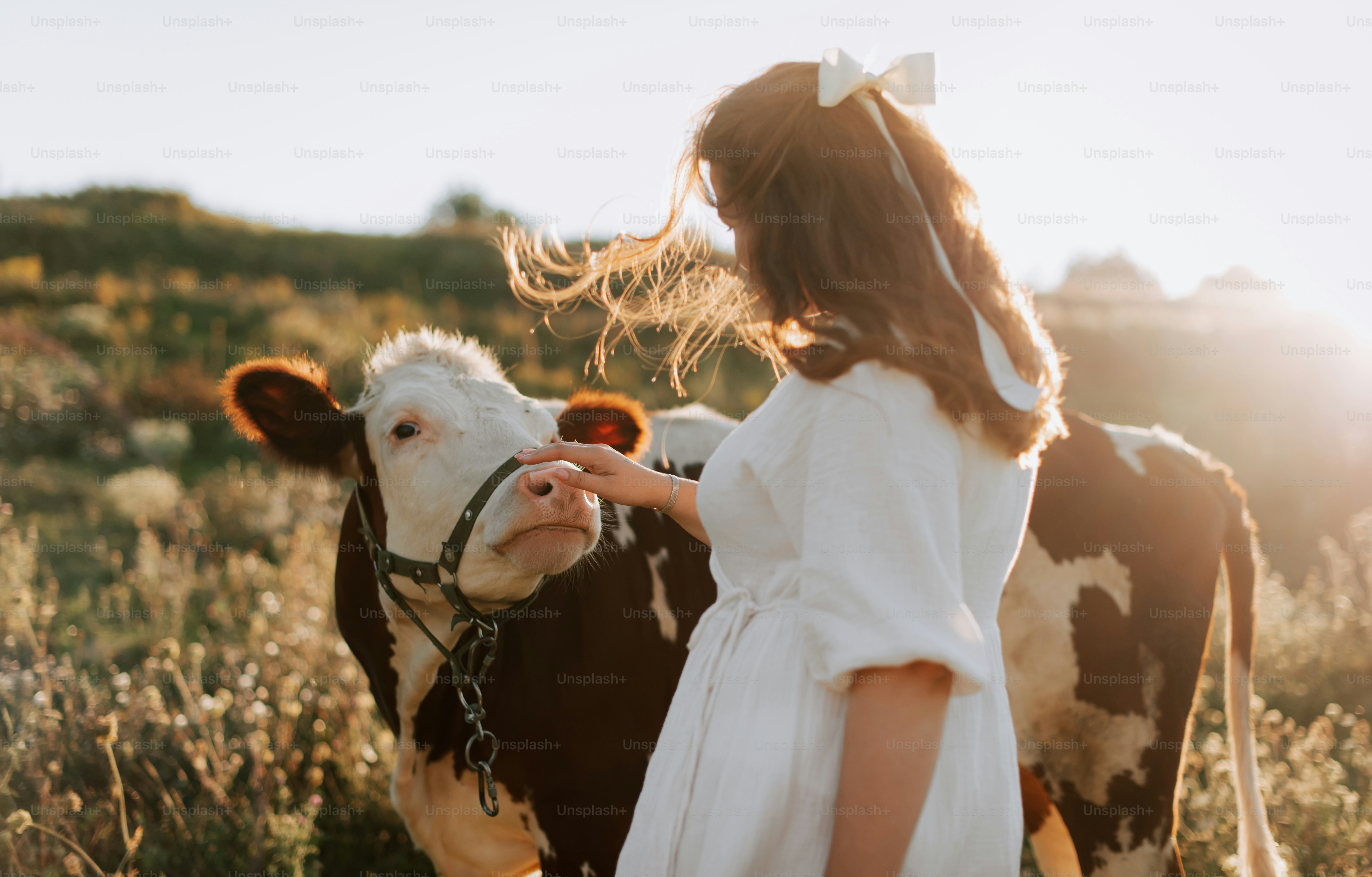 A little girl petting a cow in a field photo – Cottagecore Image on ...