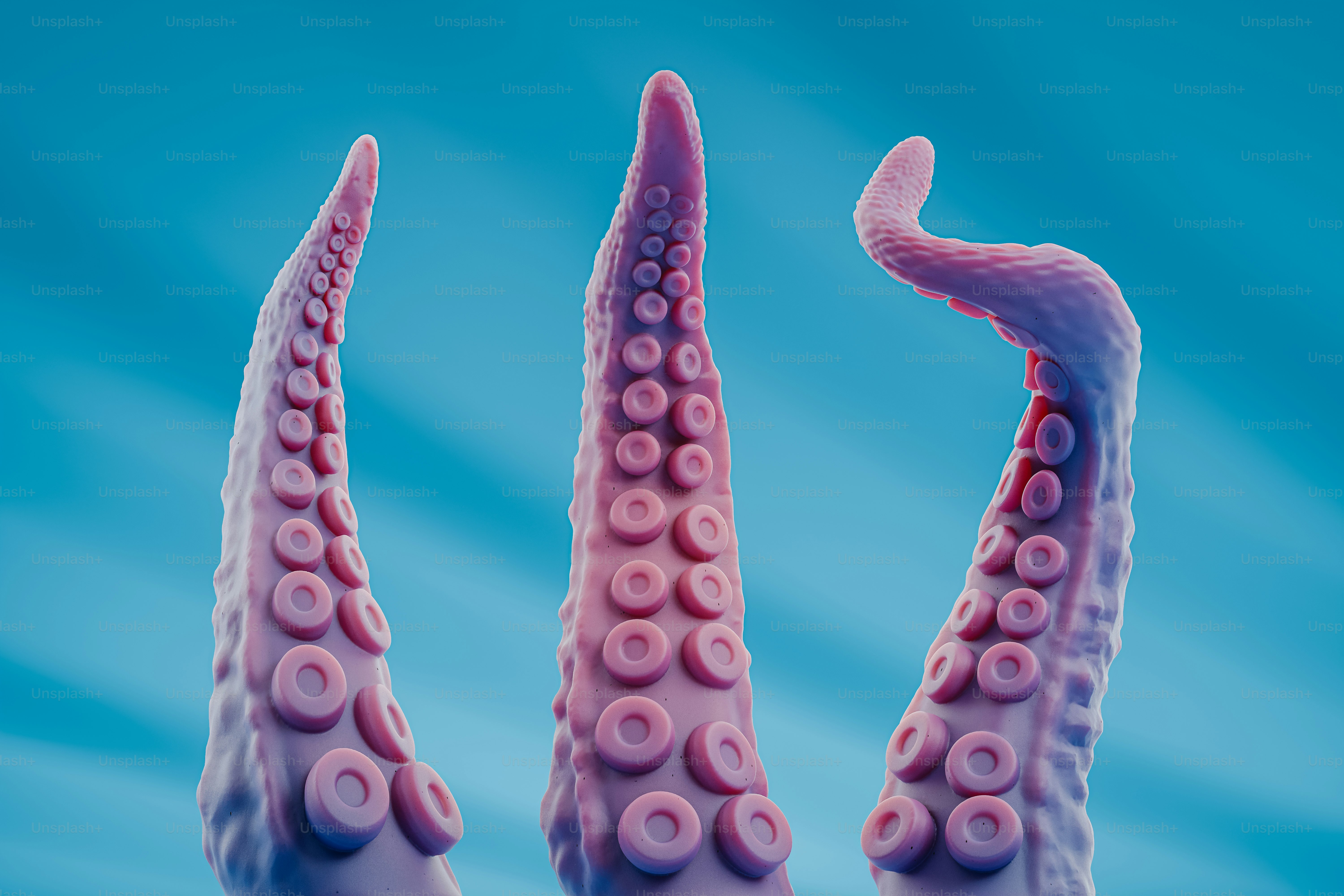 Tentacle Pictures | Download Free Images on Unsplash
