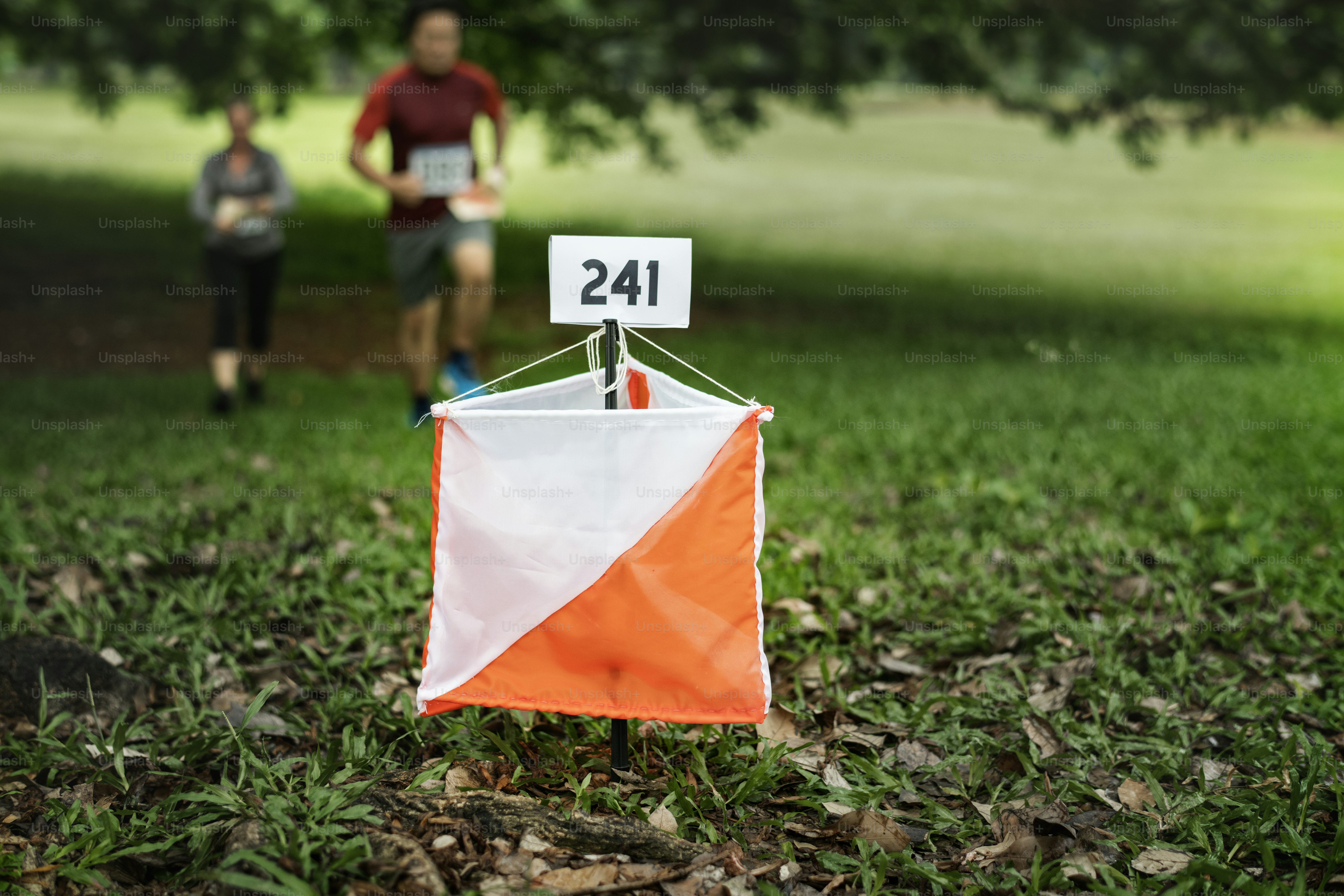 Orienteering box outdoor in a forest photo – Forest Image on Unsplash