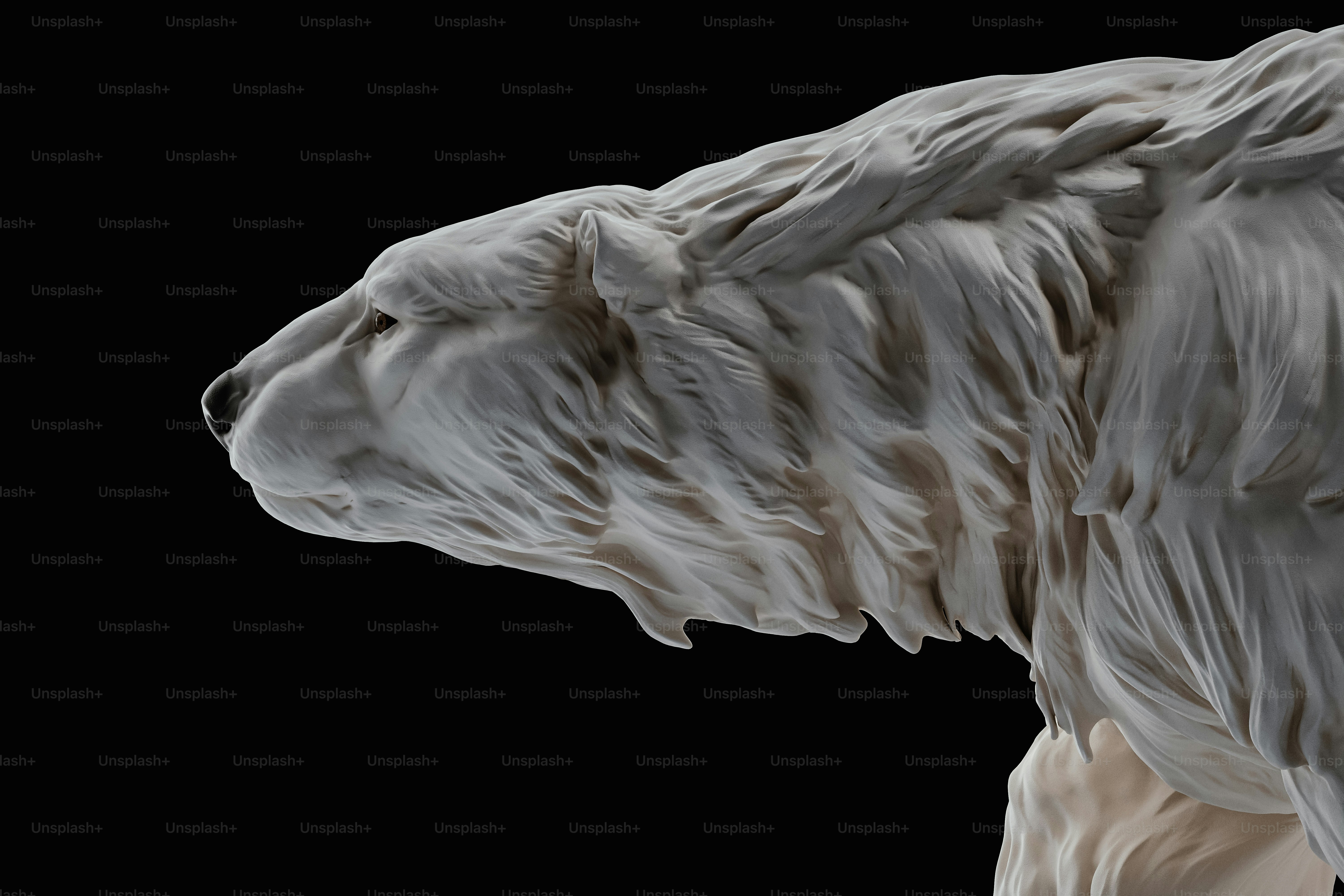 Download Kostenlose Bilder & Bilder [HD] | Unsplash