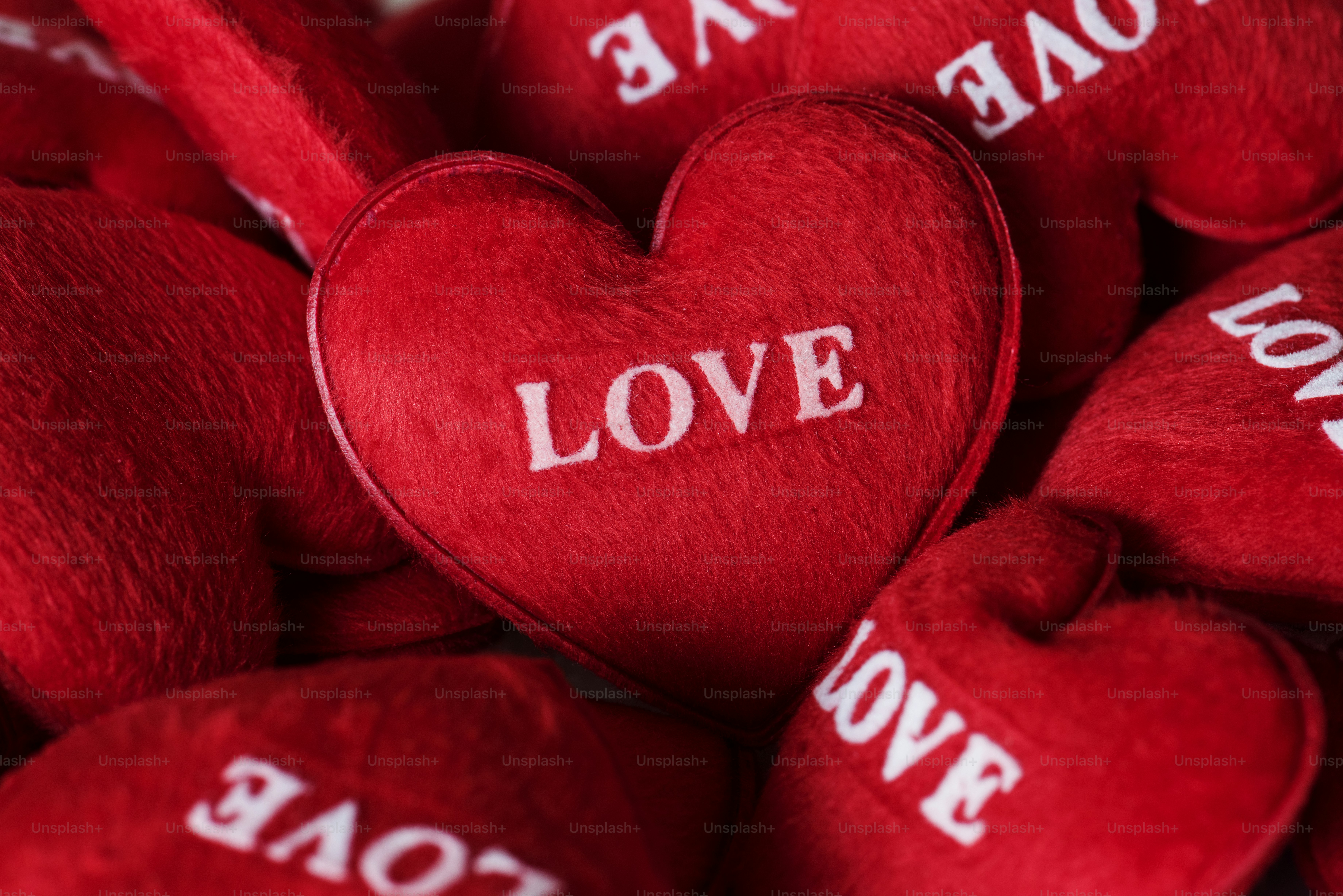 Love Images Pictures | Download Free Images on Unsplash
