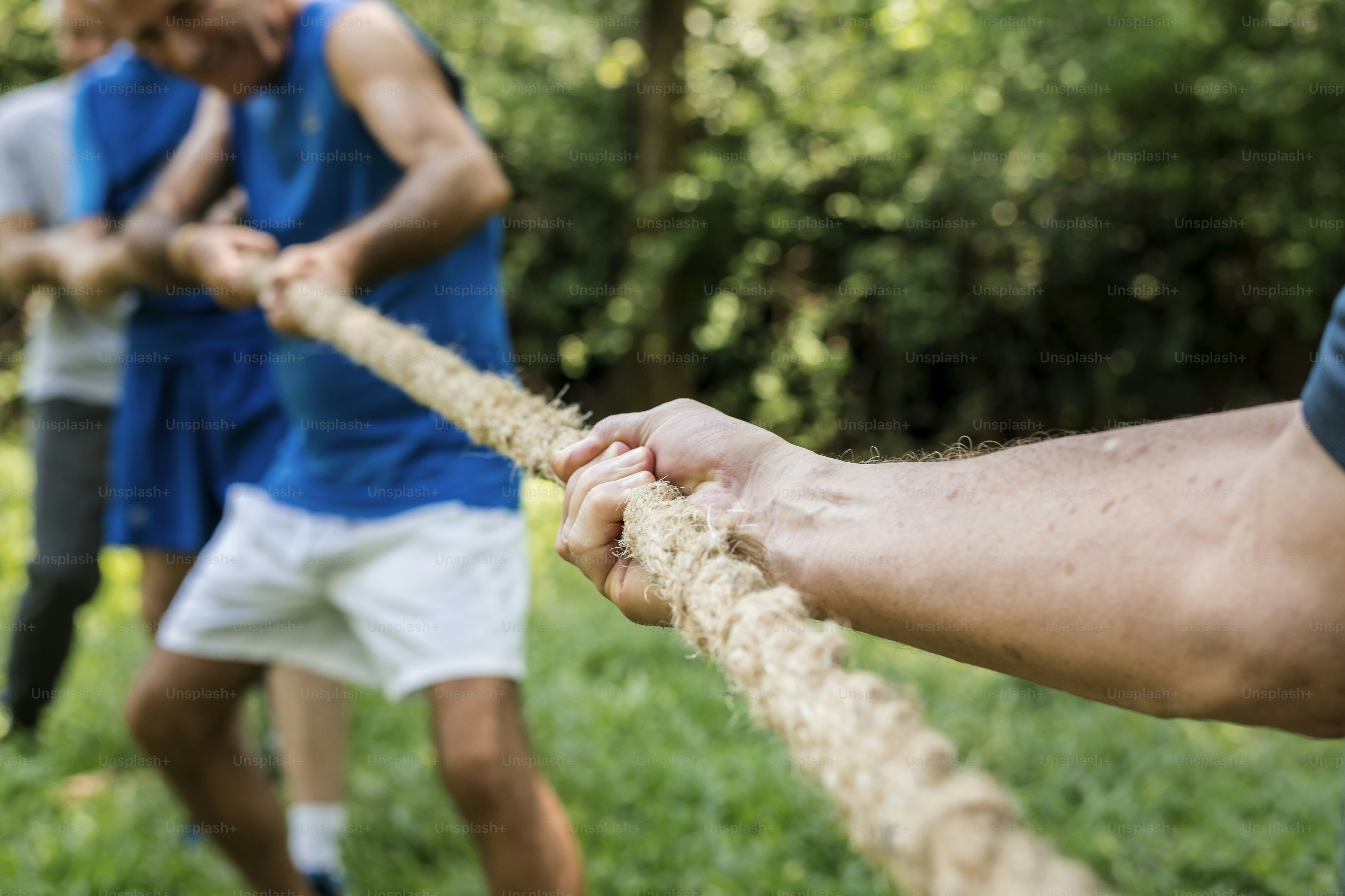 Tug Of War Pictures | Download Free Images on Unsplash