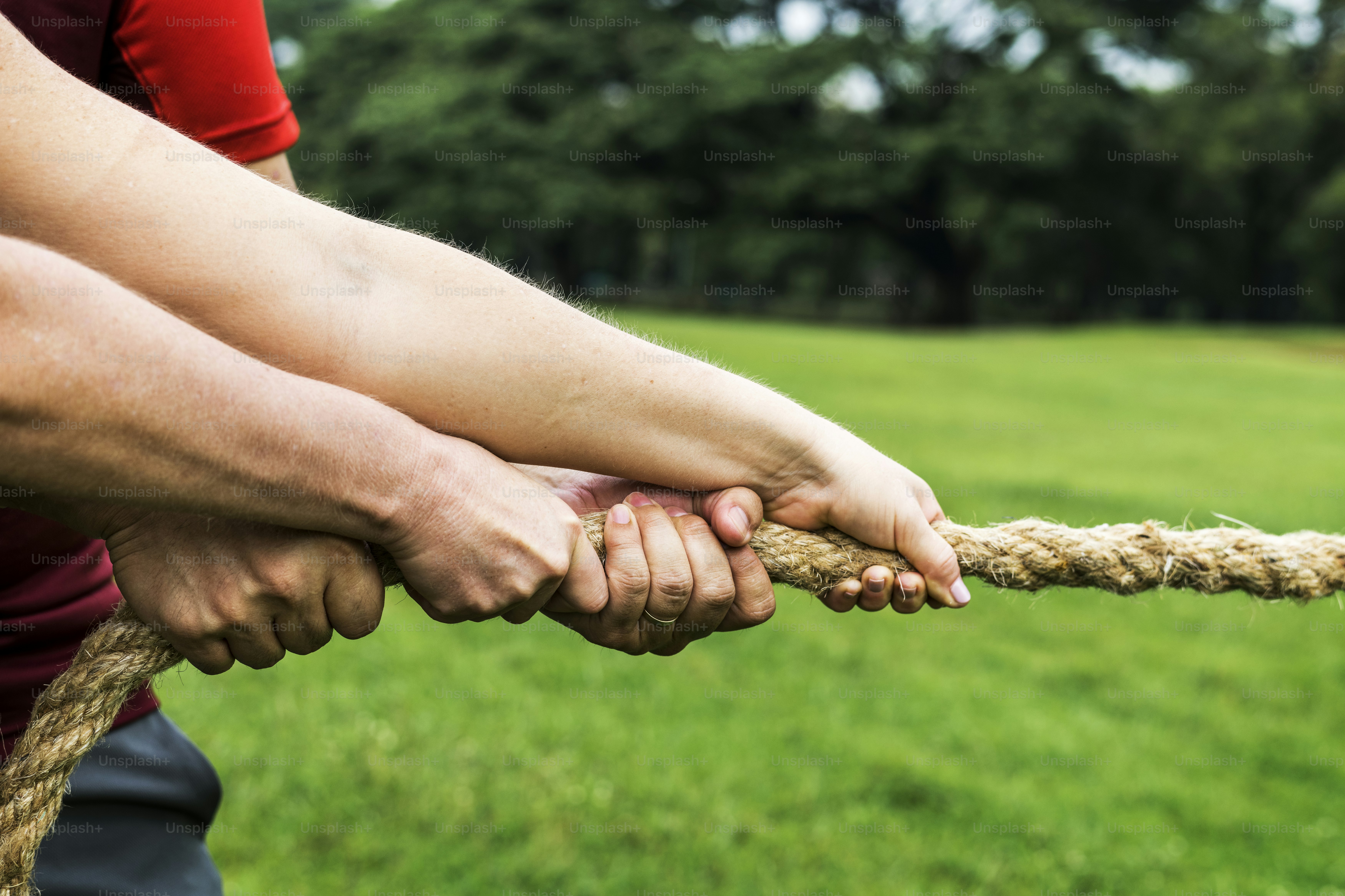 Tug Of War Pictures | Download Free Images on Unsplash