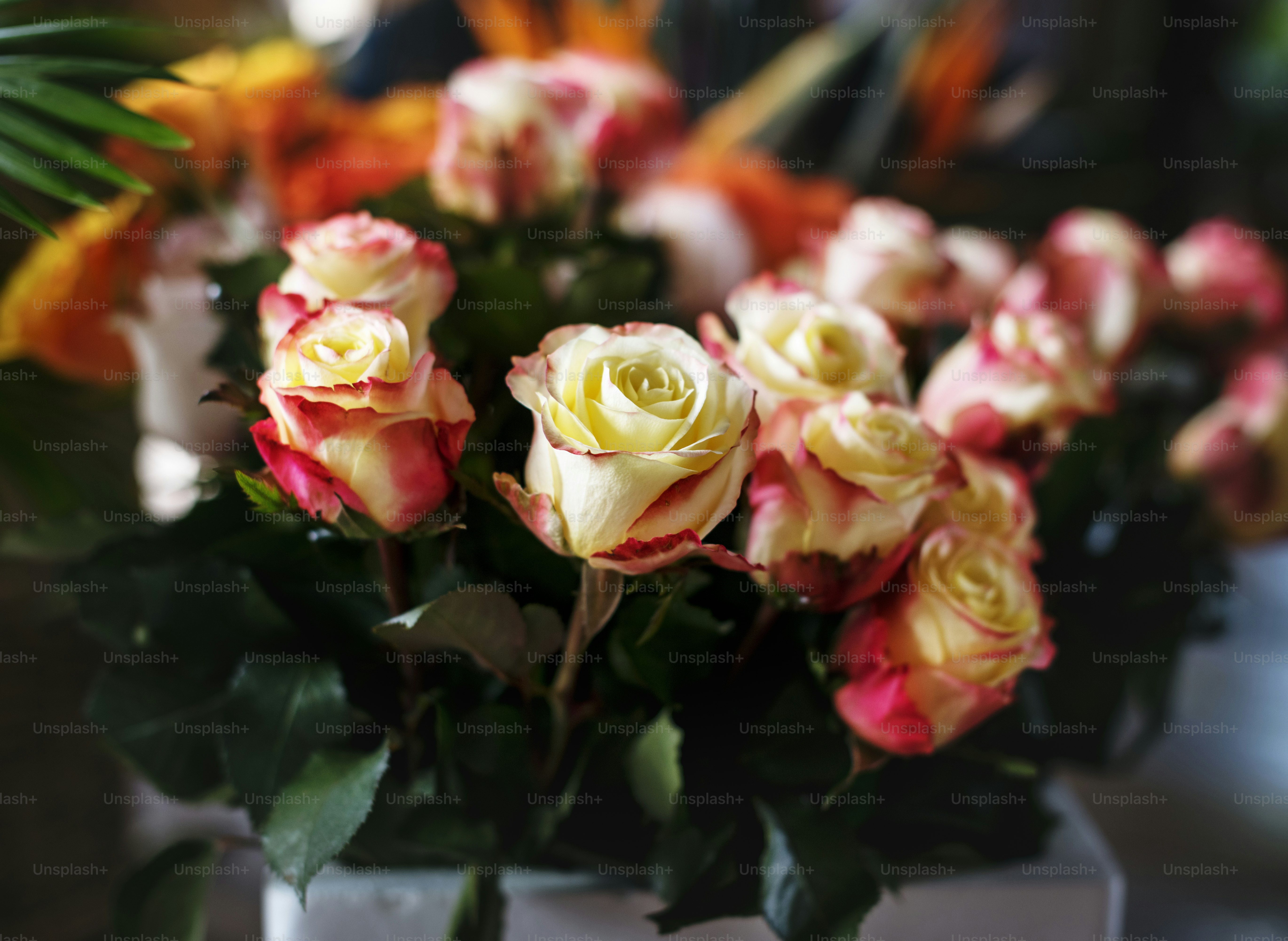 A bunch of a rose to arrangement photo – Photography Image on Unsplash