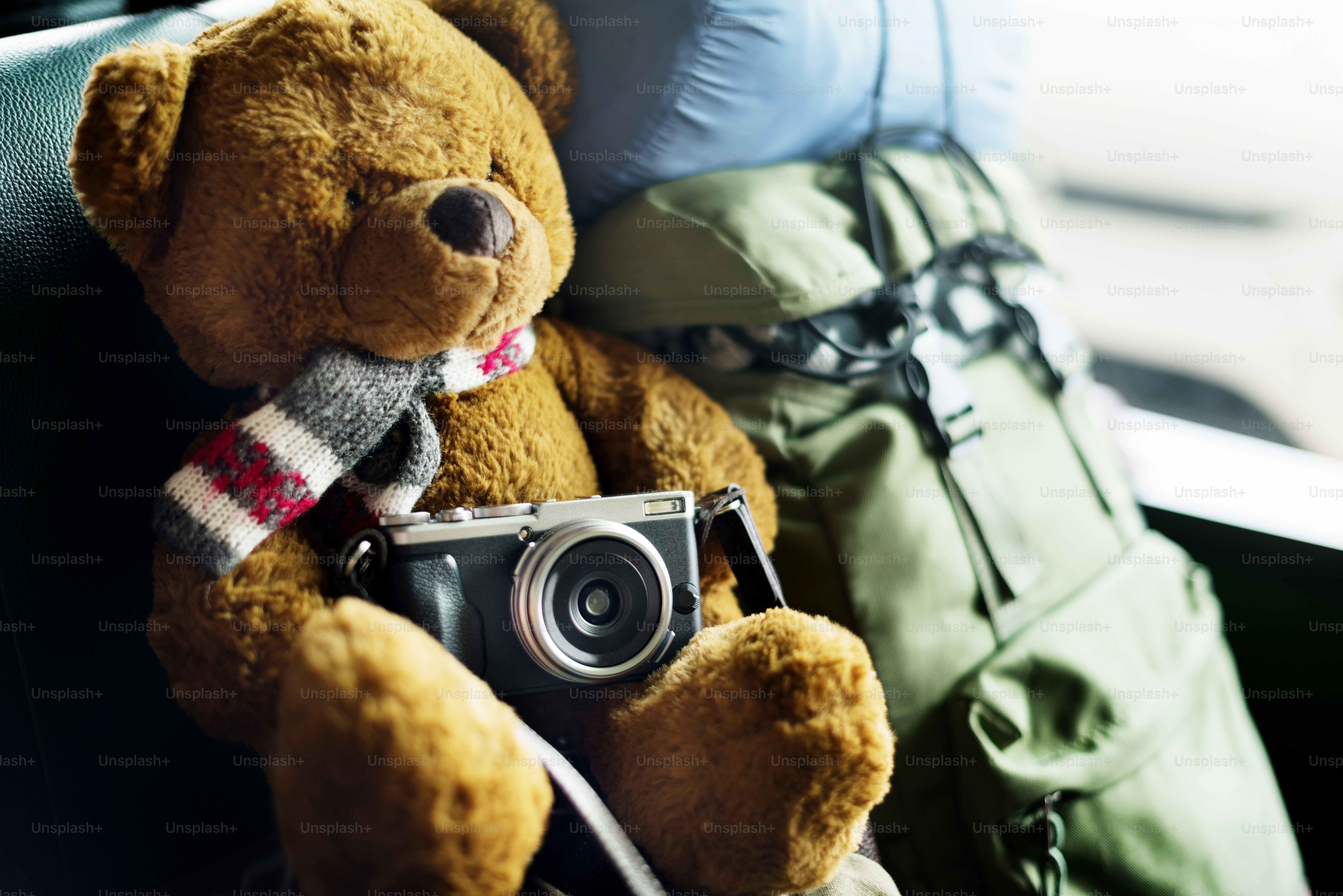 Camping Teddy Bear Travel Roadtrip Concept photo – Road trip Image on ...