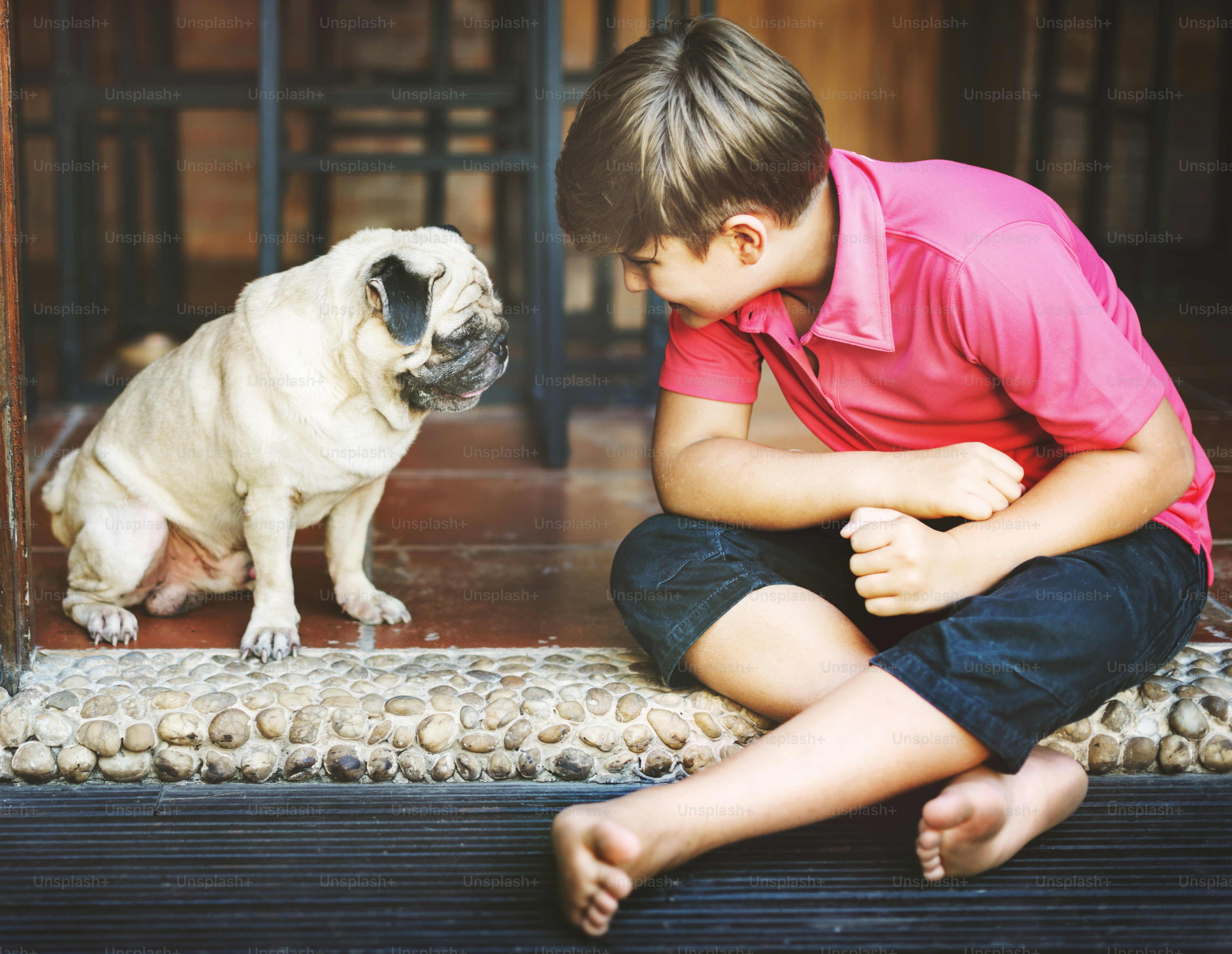 boy-playful-doggy-friend-togetherness-concept-photo-relaxation-image