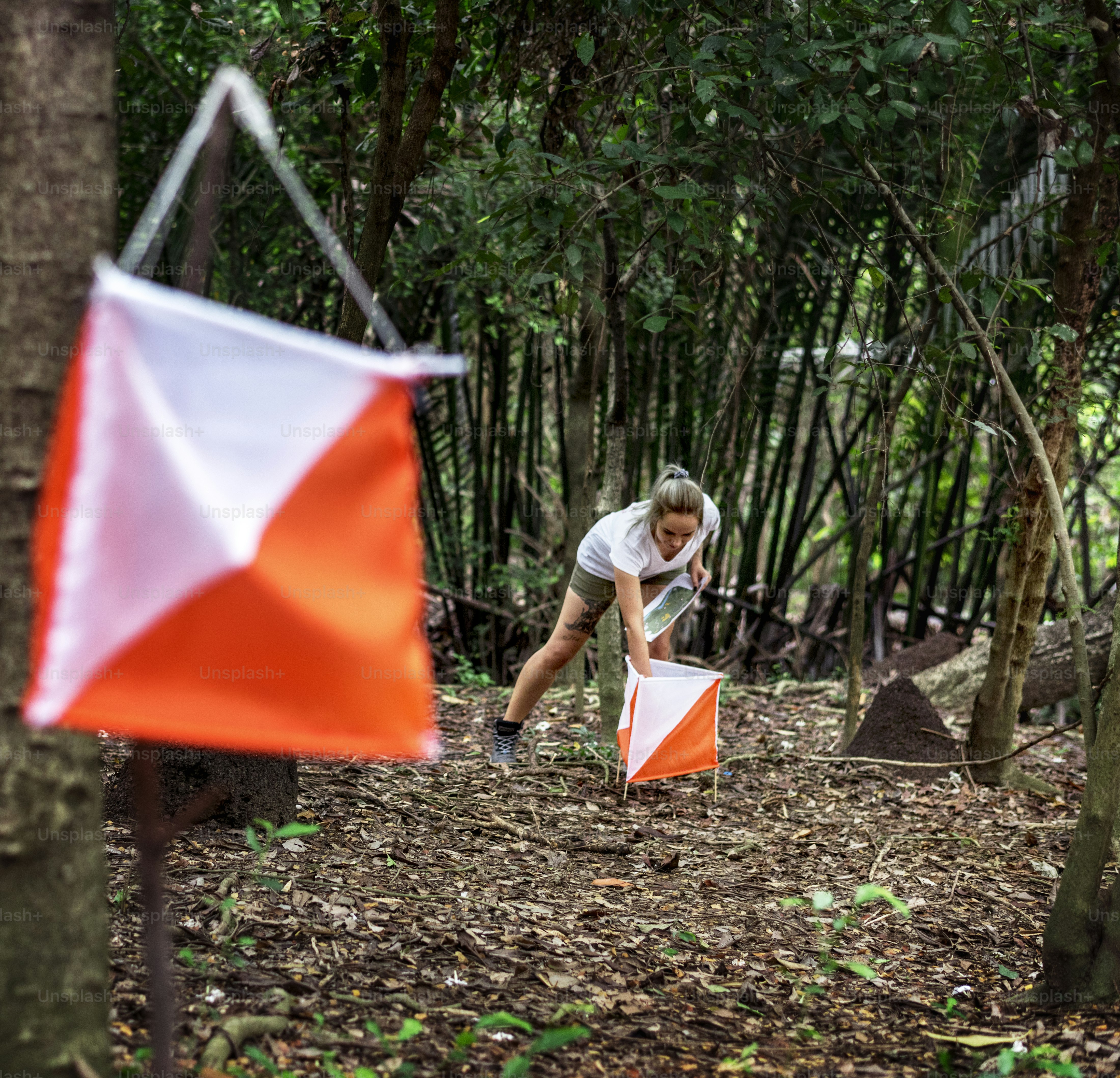 Outdoor orienteering check point activity photo – Forest Image on Unsplash