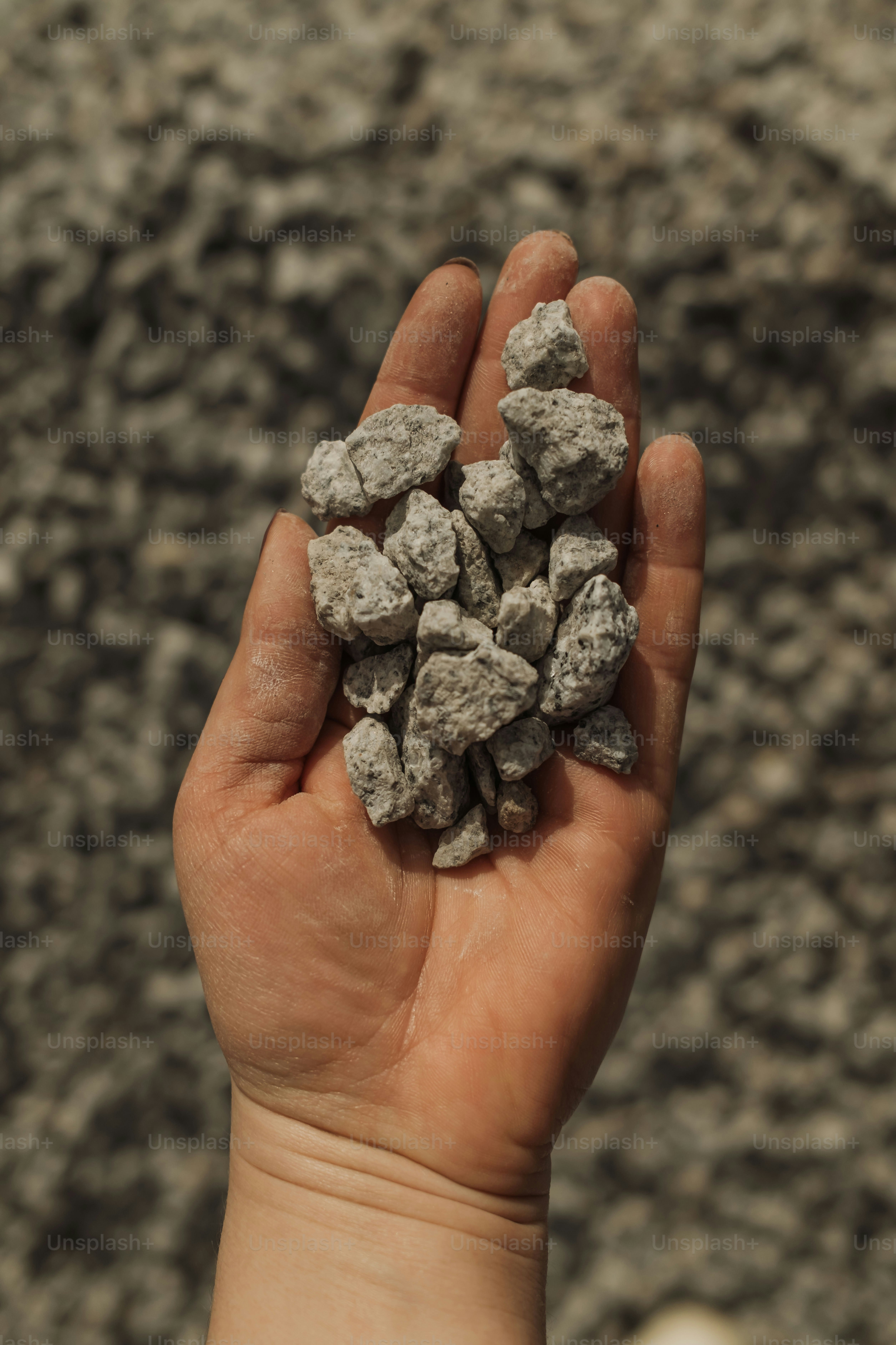 A person holding a handful of rocks in their hand photo – Neutral ...