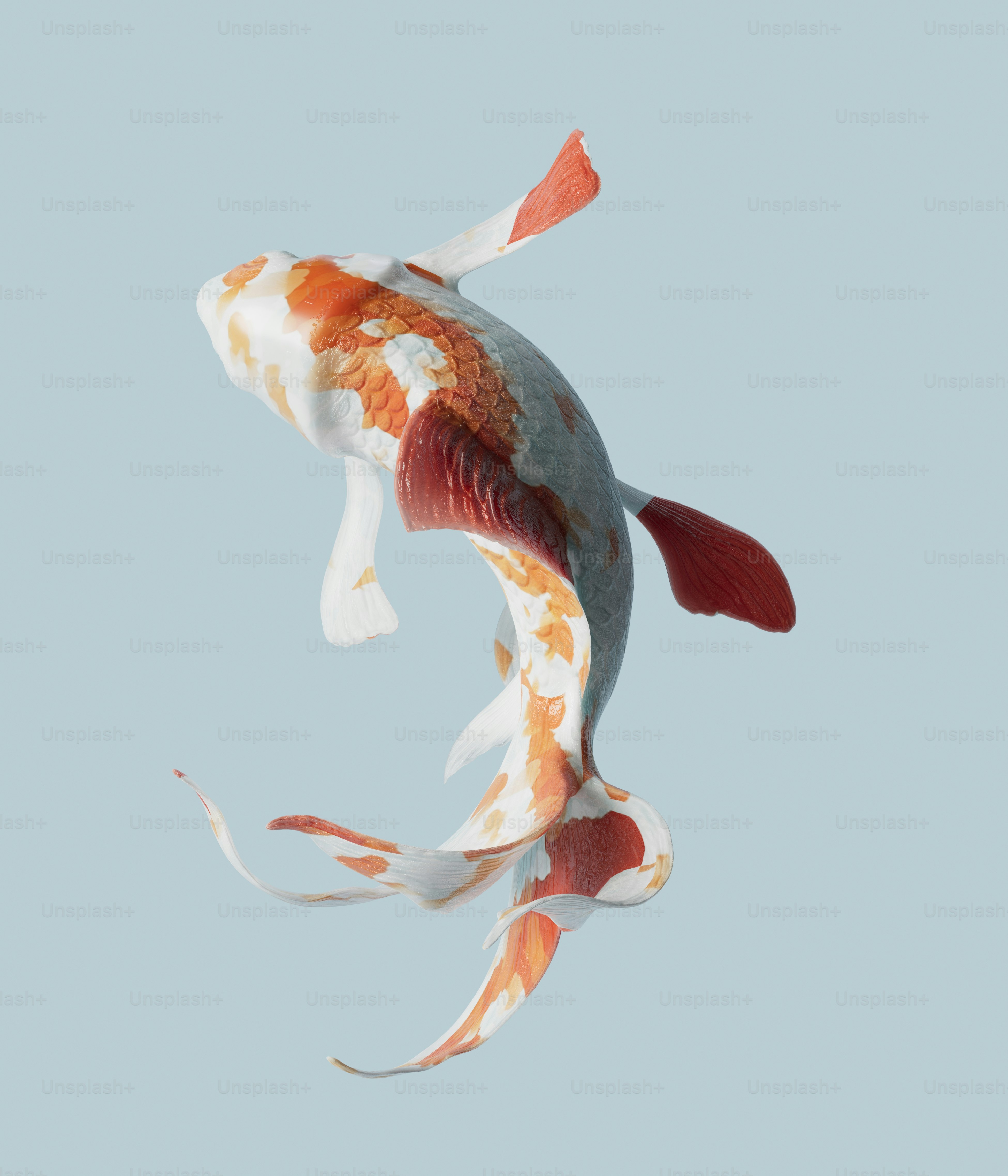 Un poisson qui nage dans l’eau photo – Image de Image digitale sur Unsplash