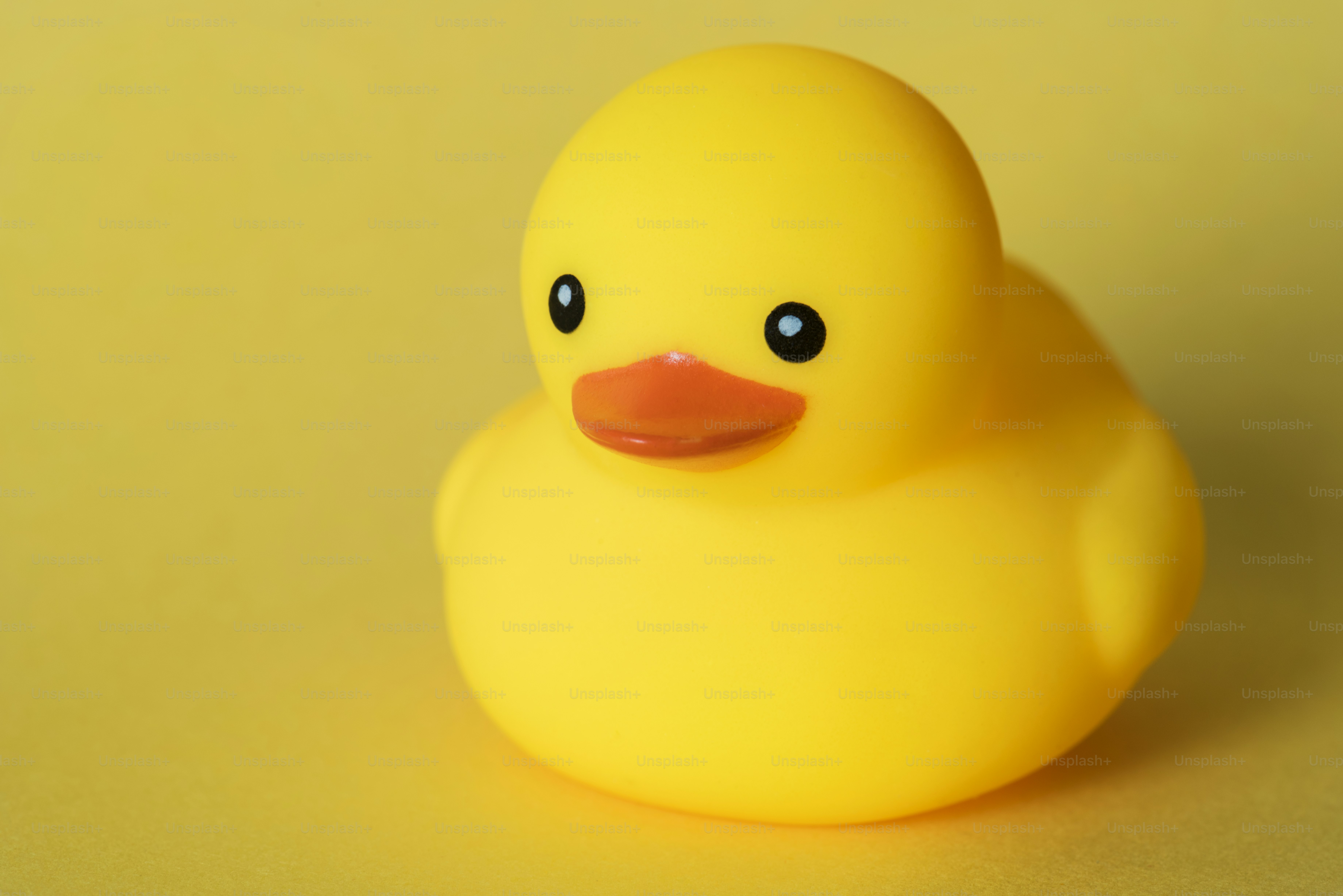 30k+ Rubber Duck Pictures | Download Free Images on Unsplash