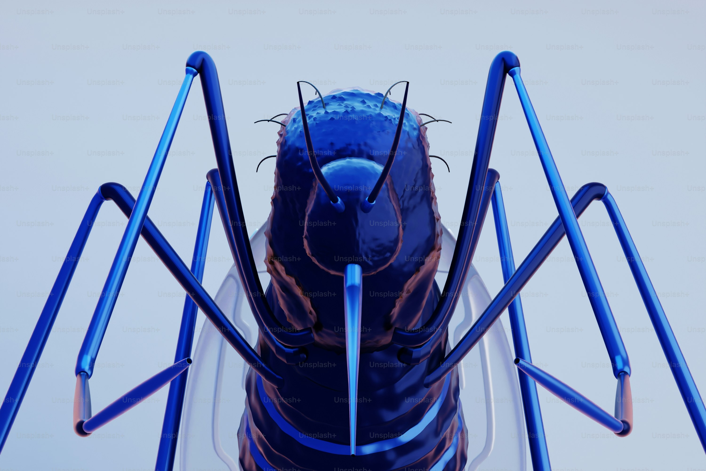 A close up of a blue insect on a white background photo – Animal Image ...