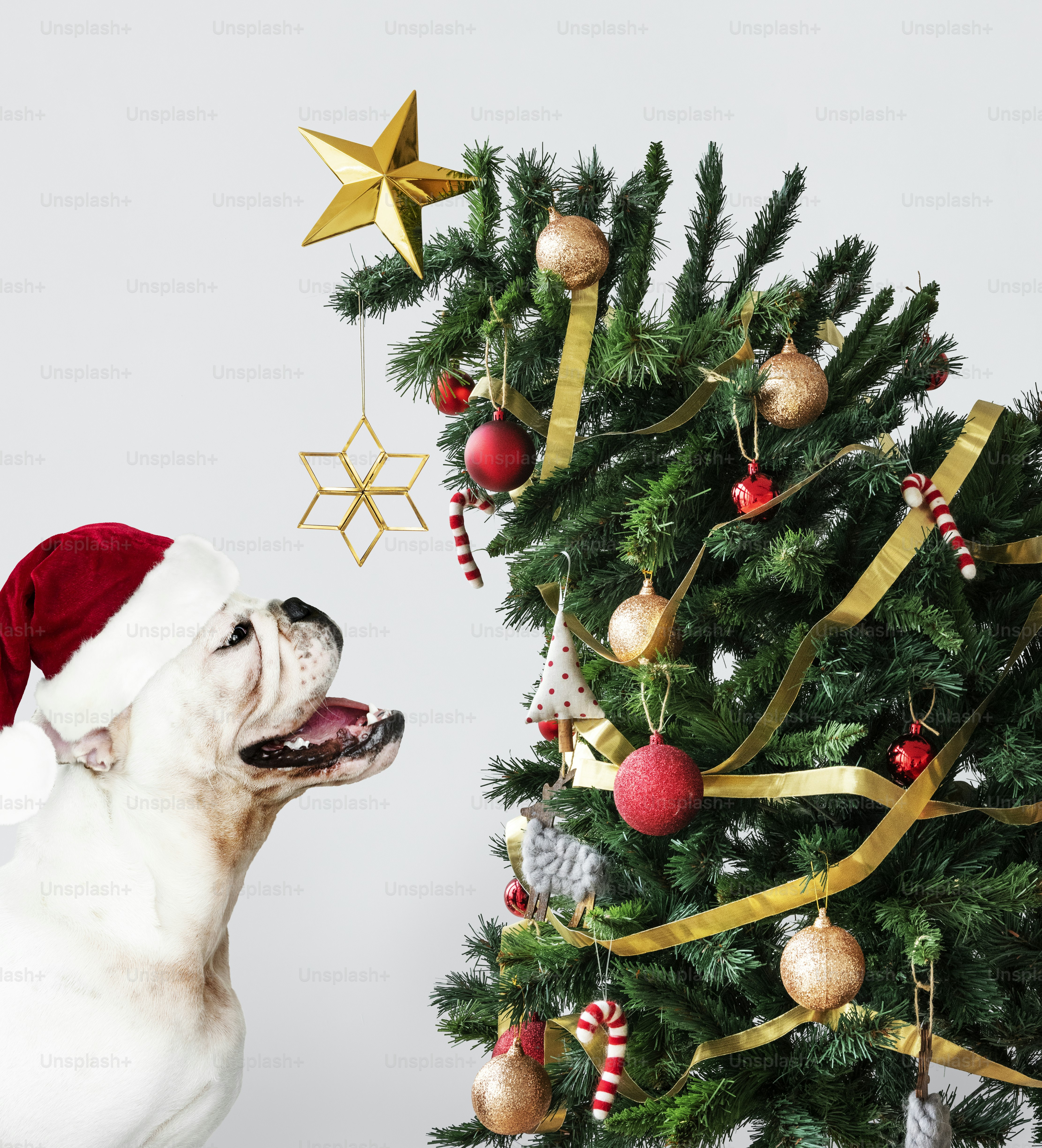 Adorable cachorro de bulldog de pie junto a un árbol de Navidad foto ...