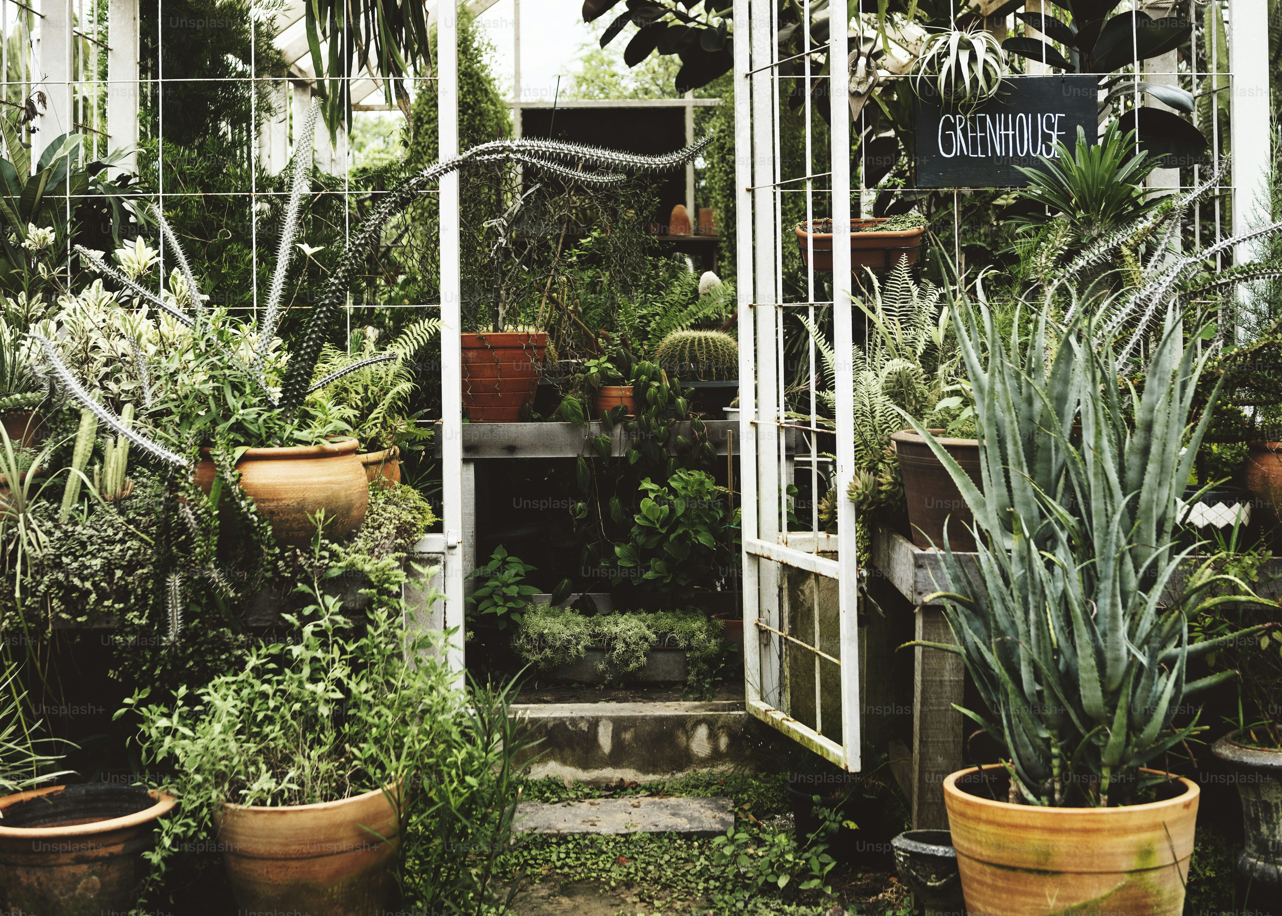 Greenhouse outdoor photo – Ecosystem Image on Unsplash