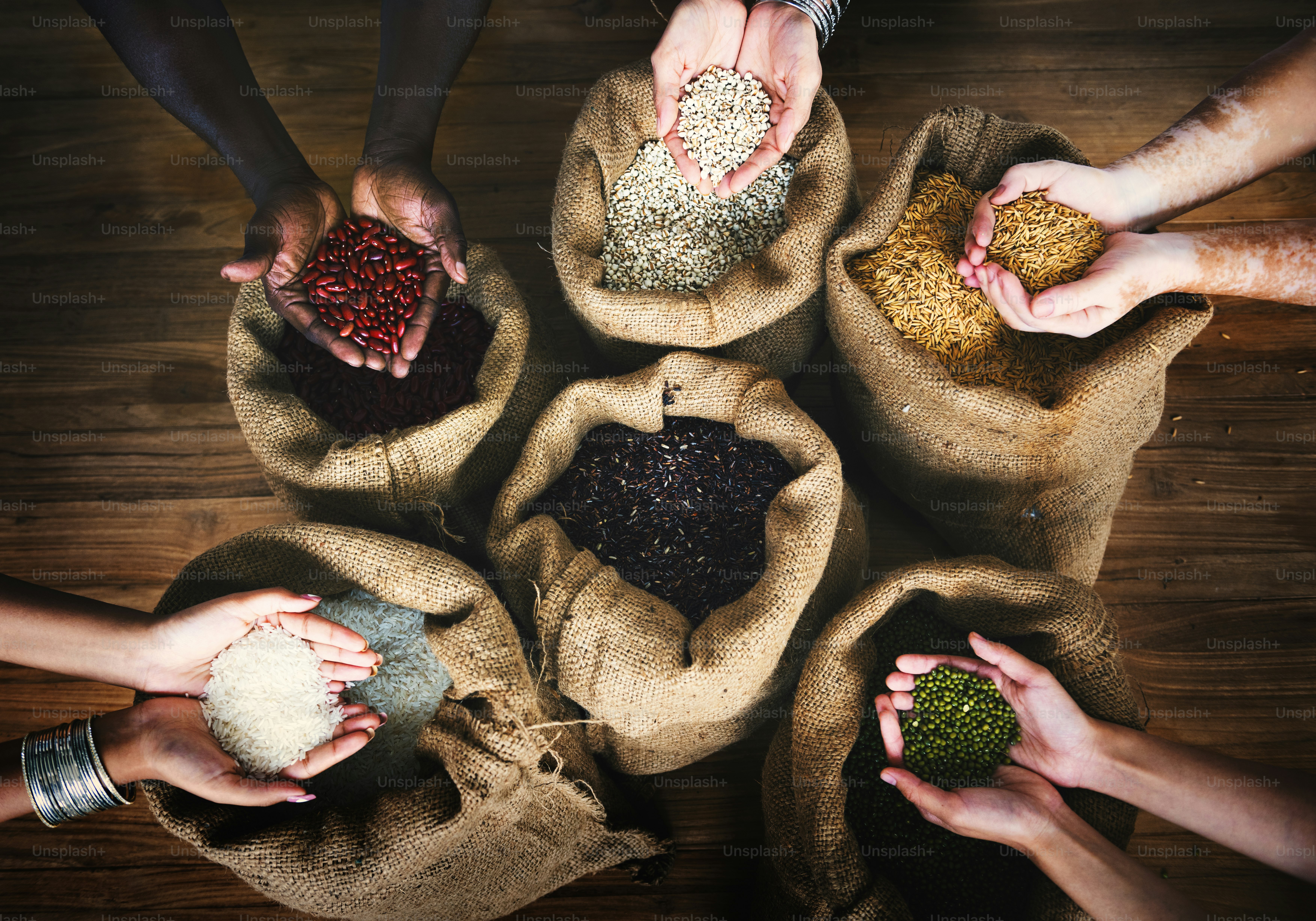 Group of handful of crops seeds in aerial view photo – Hand Image on ...