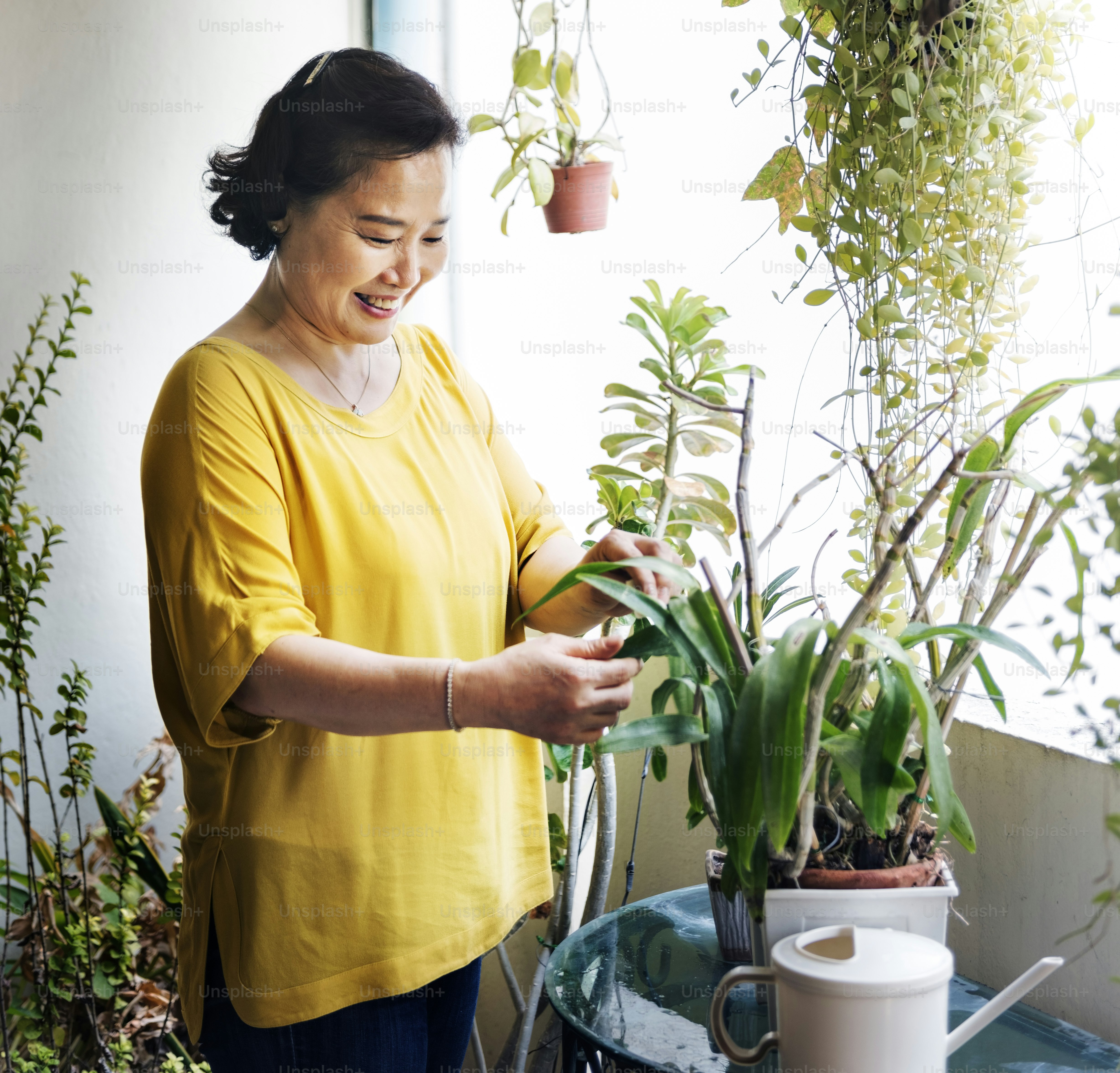 Planting Plantation Growth Housewife Activity Concept photo – Tree ...