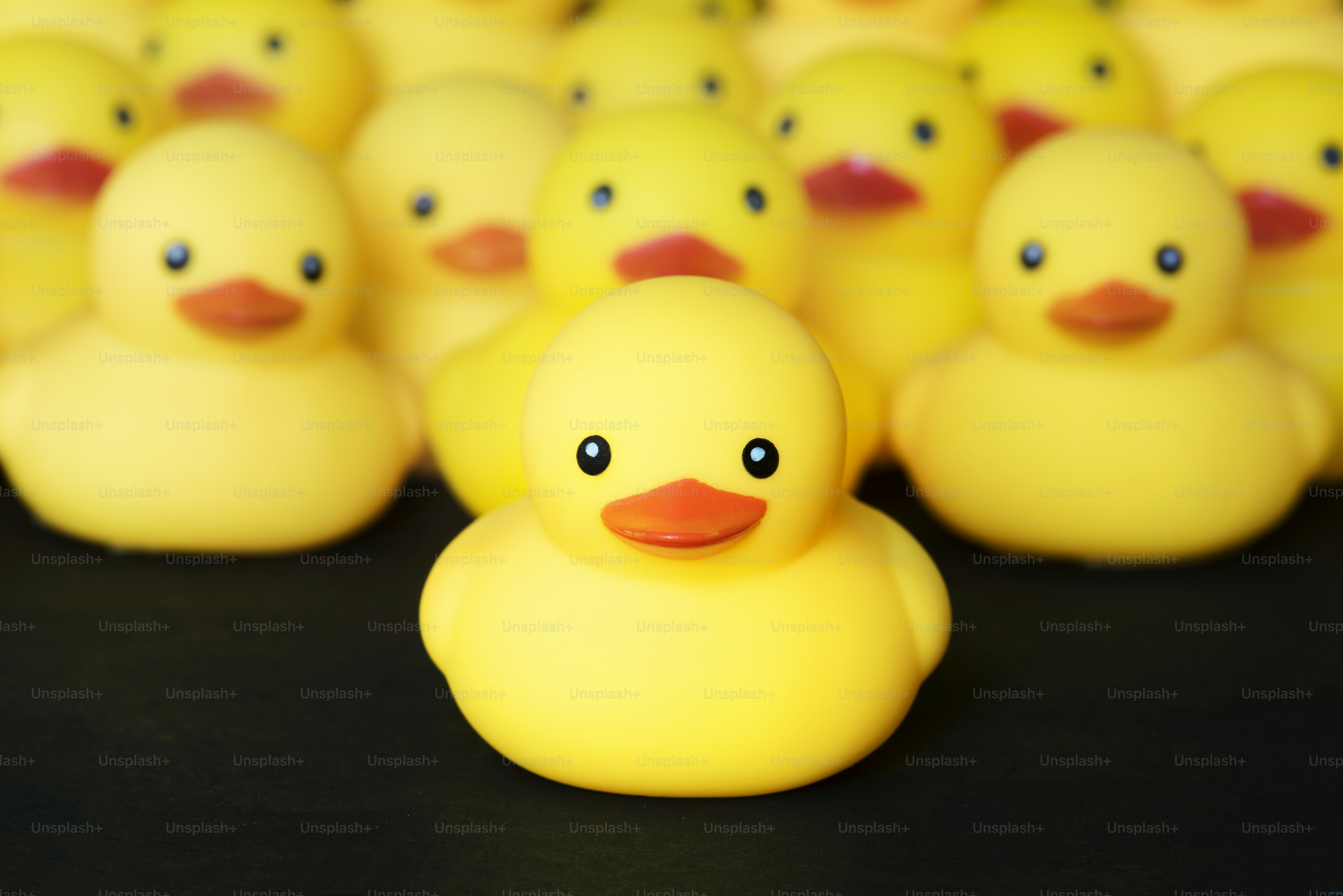 30k+ Rubber Duck Pictures | Download Free Images on Unsplash