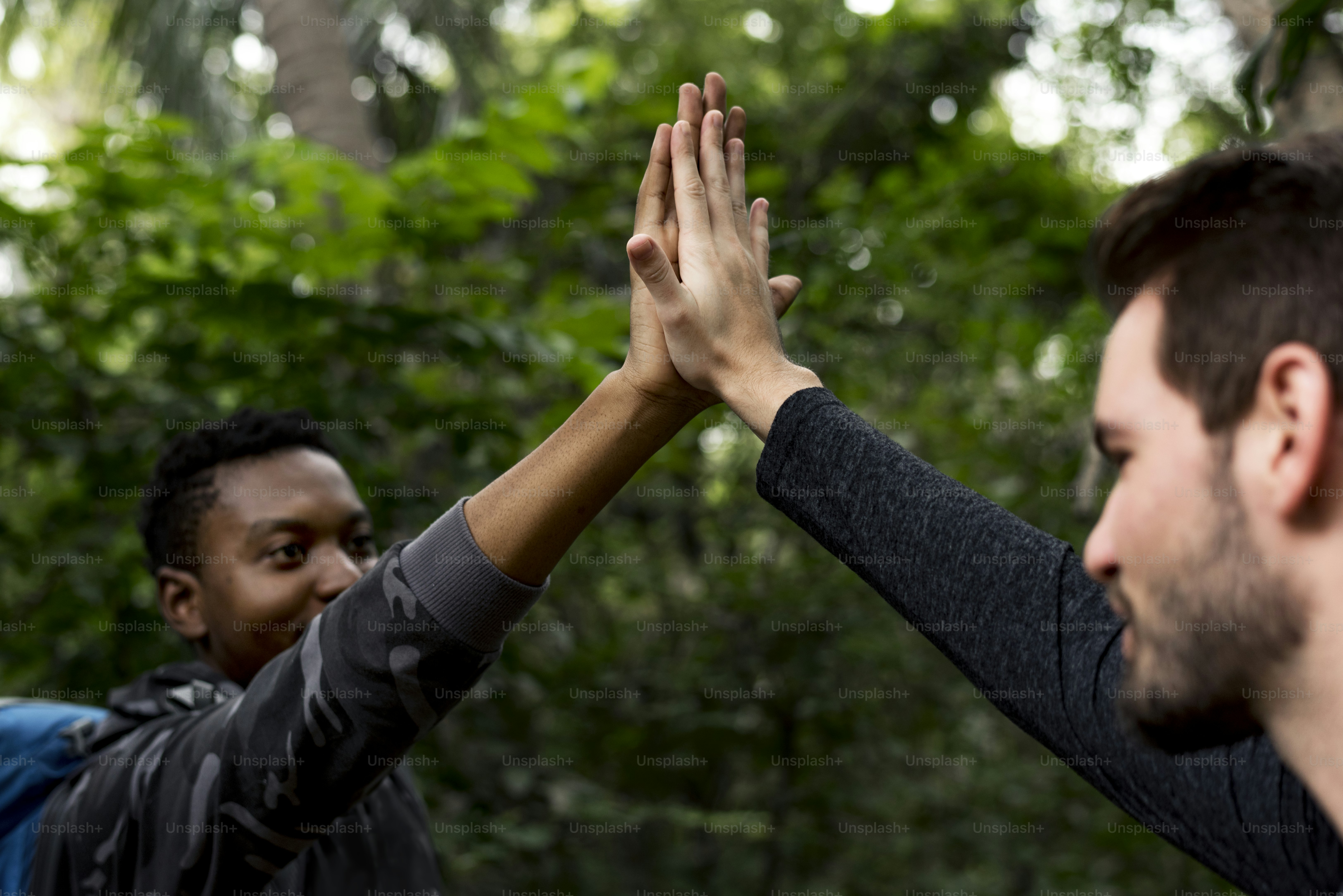 High five in the forest photo – Success Image on Unsplash